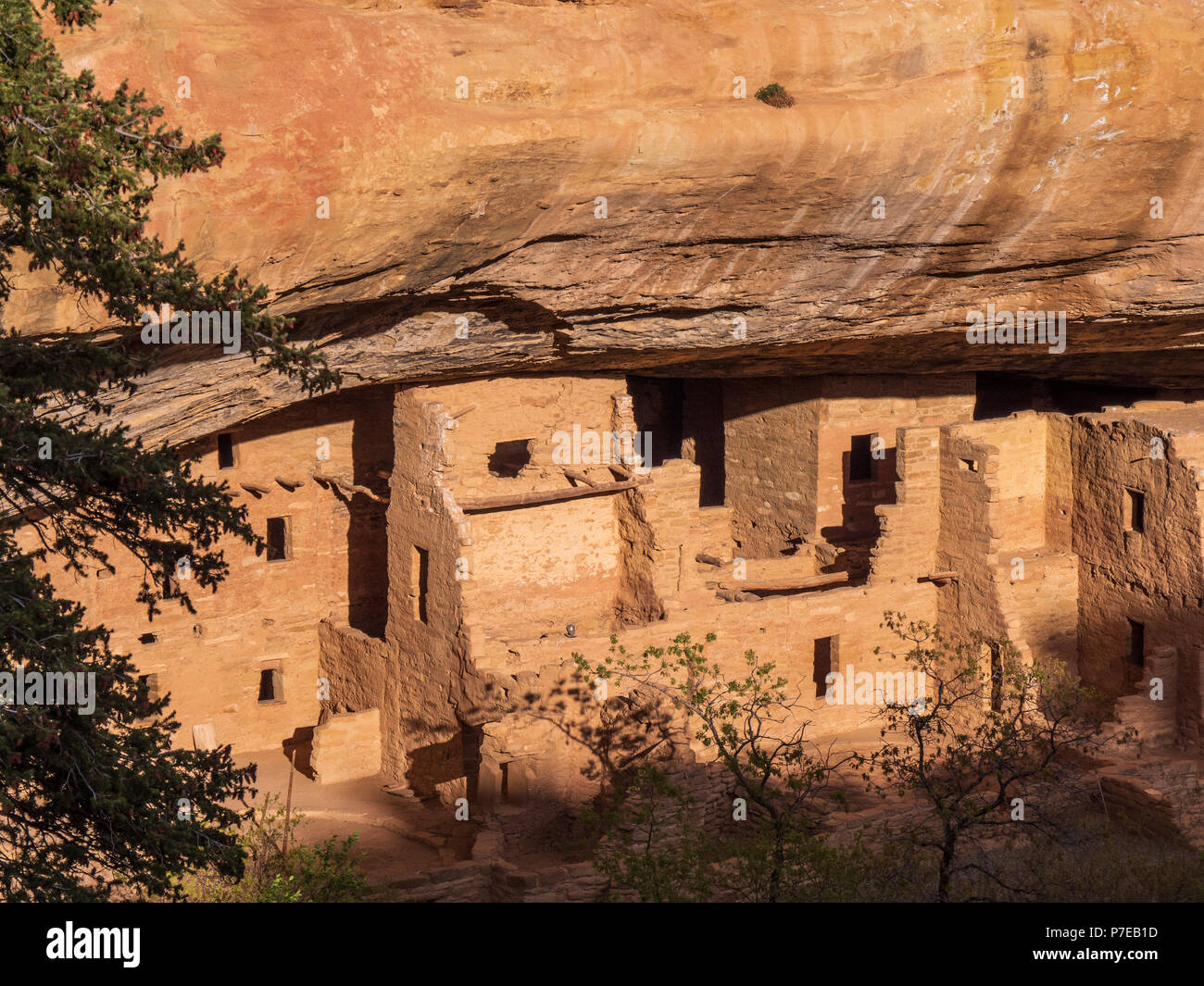 Spruce Tree House ruins, Chapin Mesa, Mesa Verde National Park ...