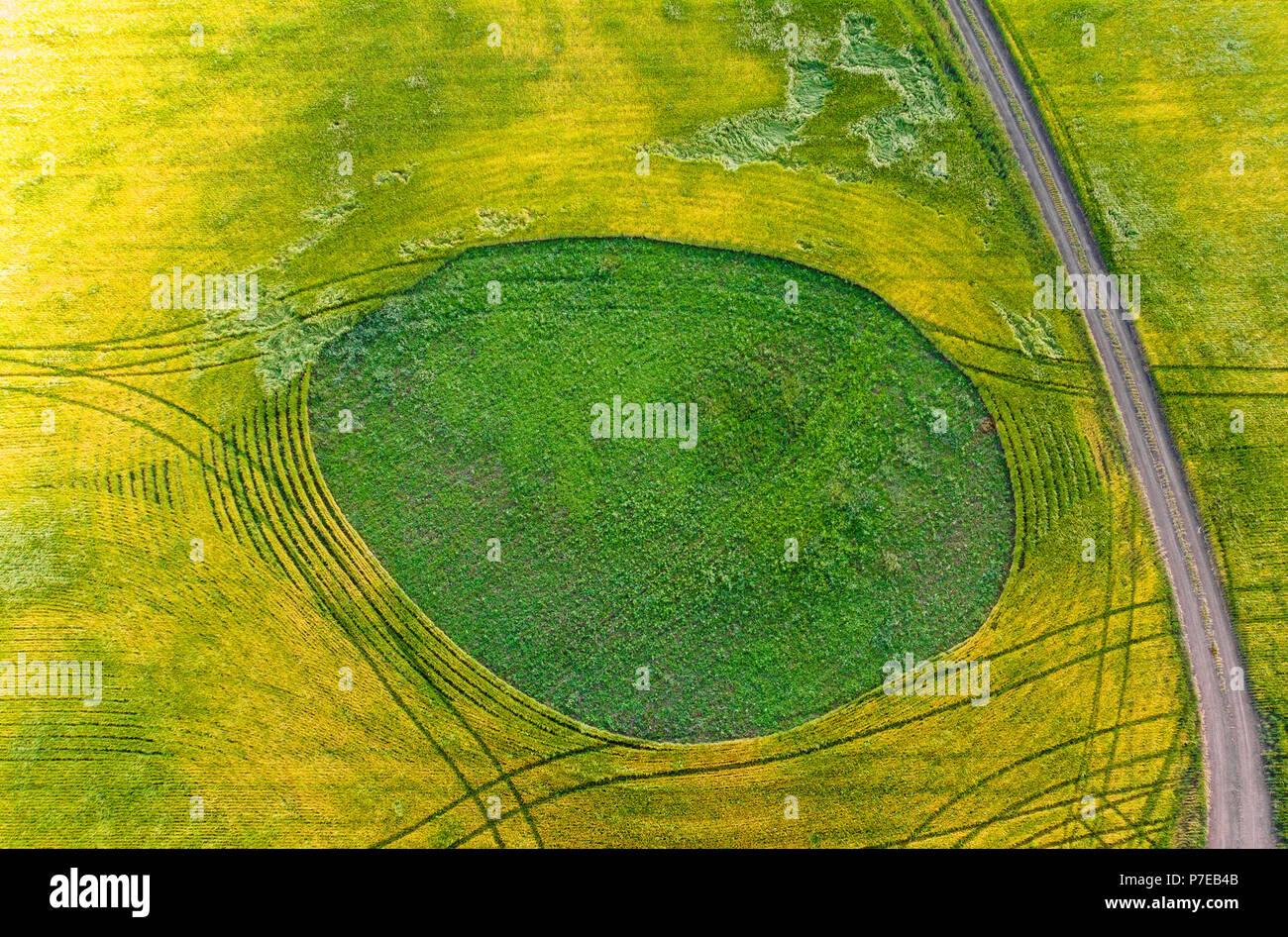 Green field circle hi-res stock photography and images - Alamy