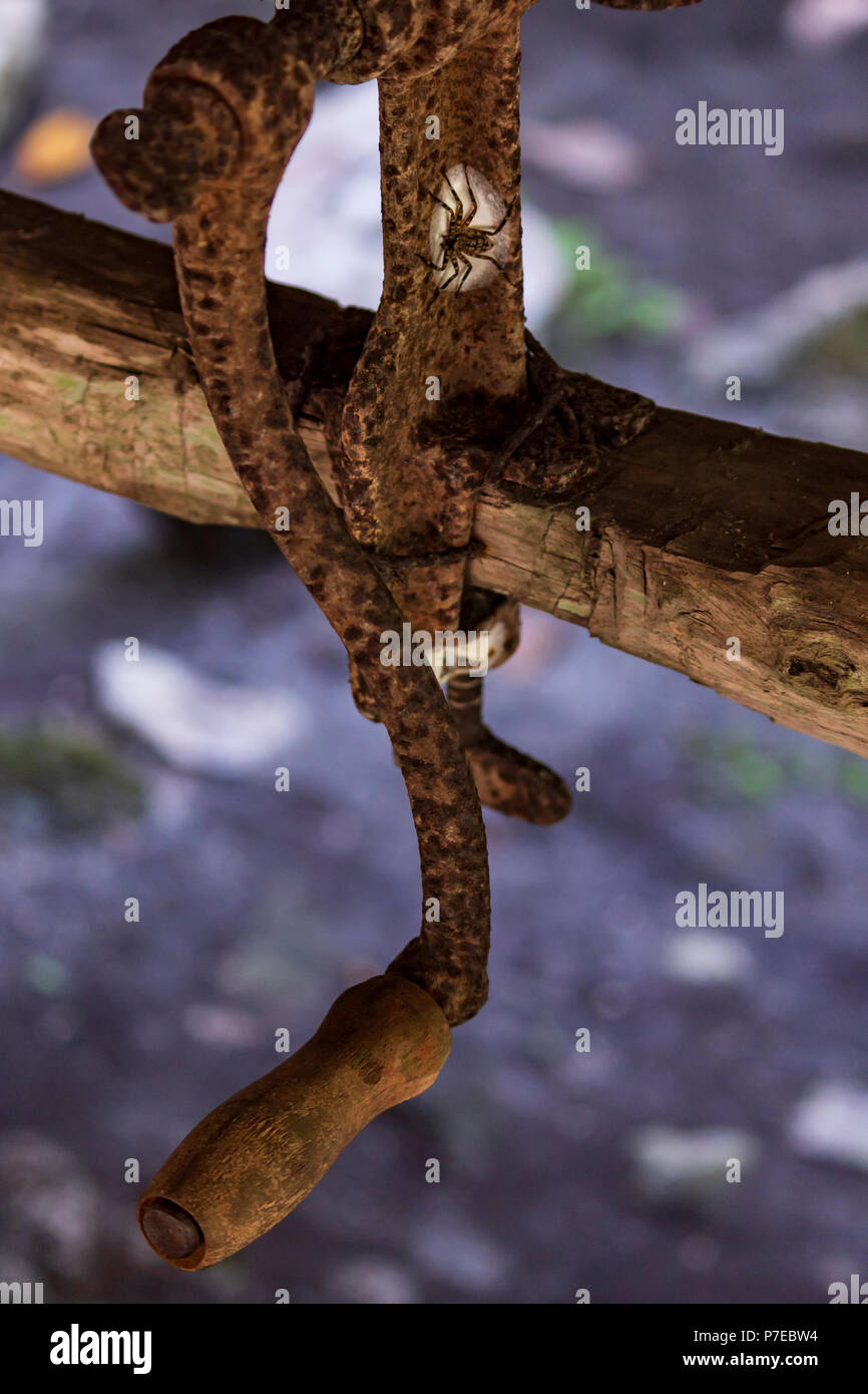 spider on spot. this is a curious little corner for a spider to choose ...