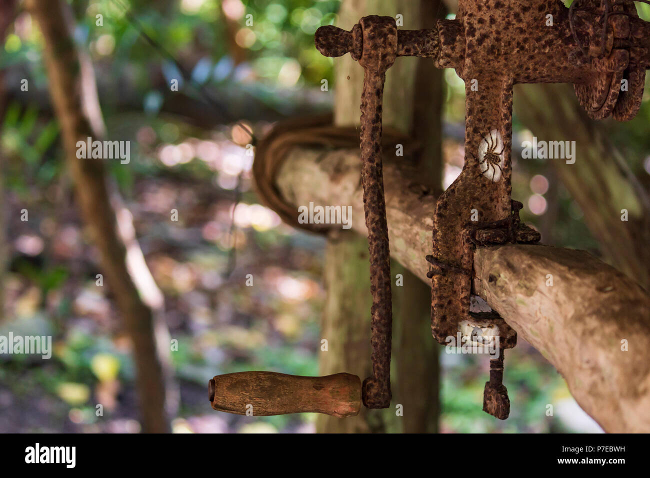 spider on spot. this is a curious little corner for a spider to choose ...