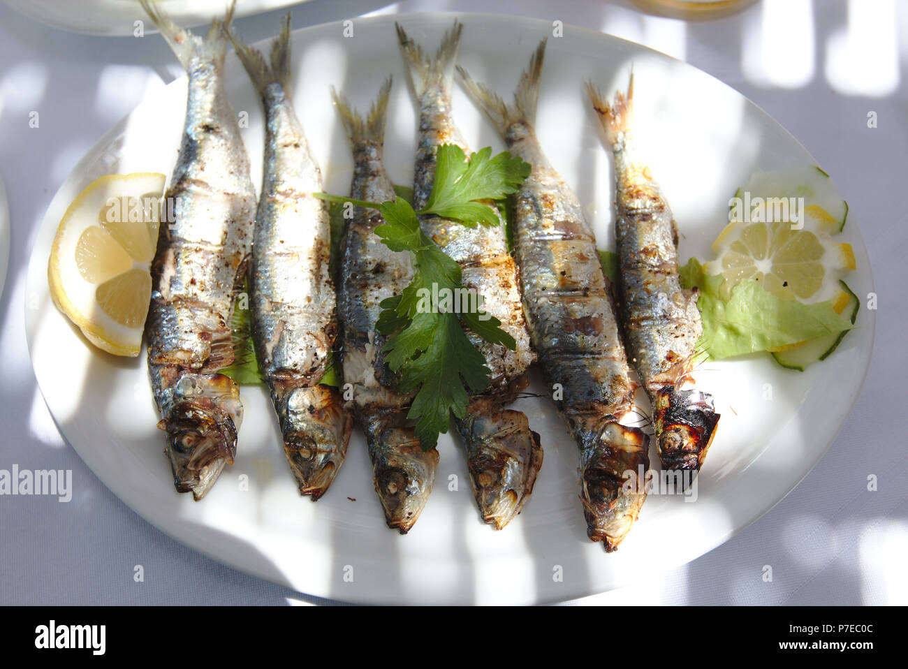 Ancient Greek Food Fish