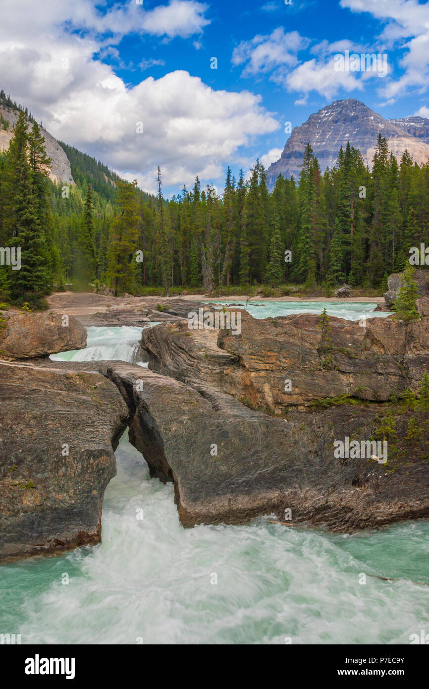 Canadian rocks glacier flow hi-res stock photography and images - Alamy