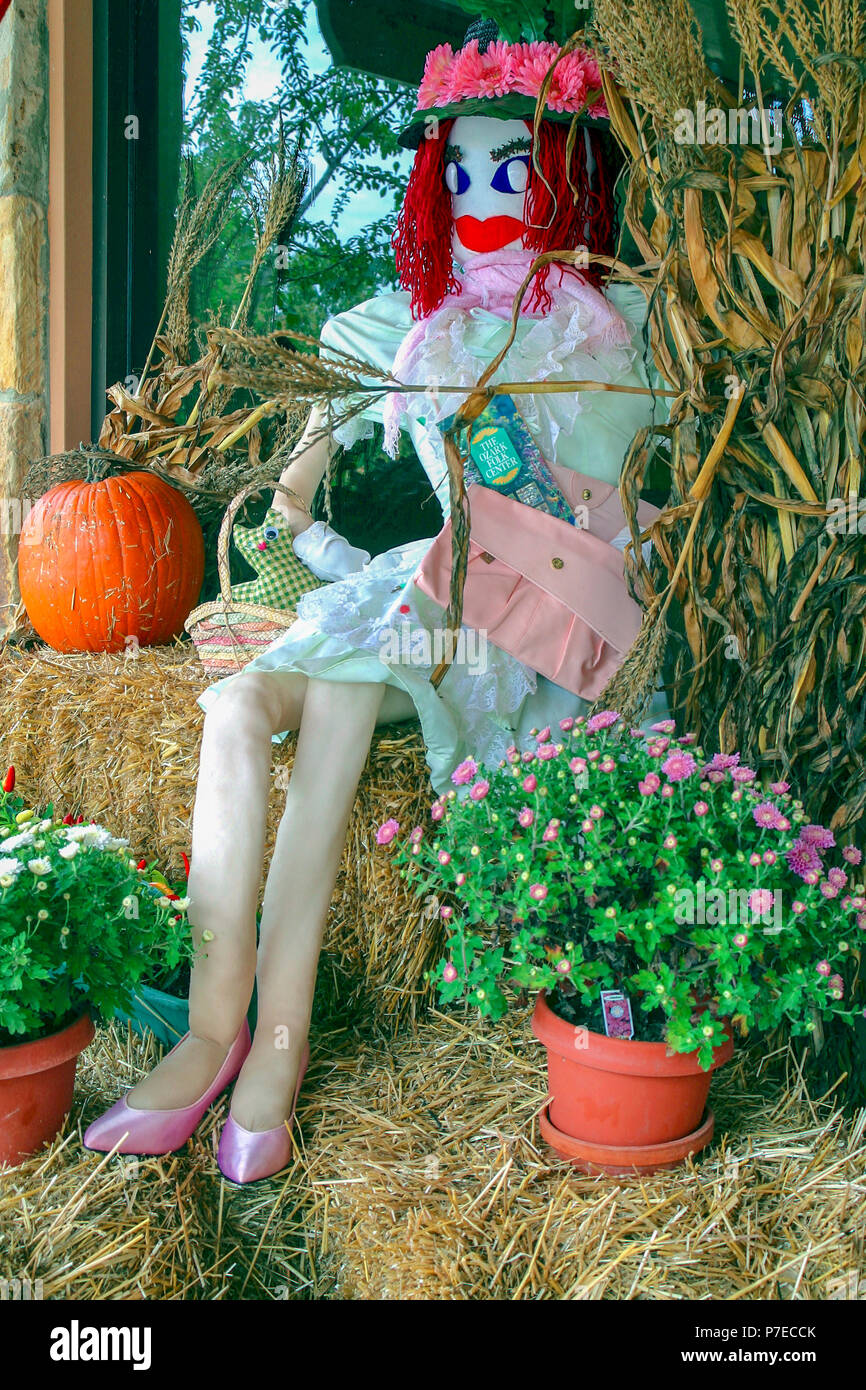 Harvest time Scarecrow at Ozark Folk Center in Mountain View, Arkansas ...