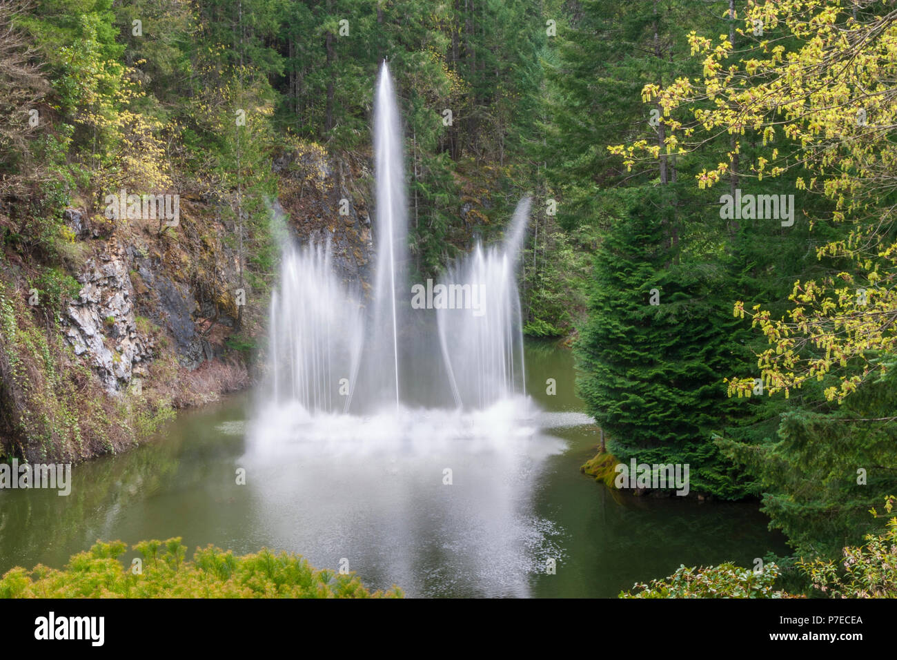 The ross fountain butchart gardens hi-res stock photography and images ...