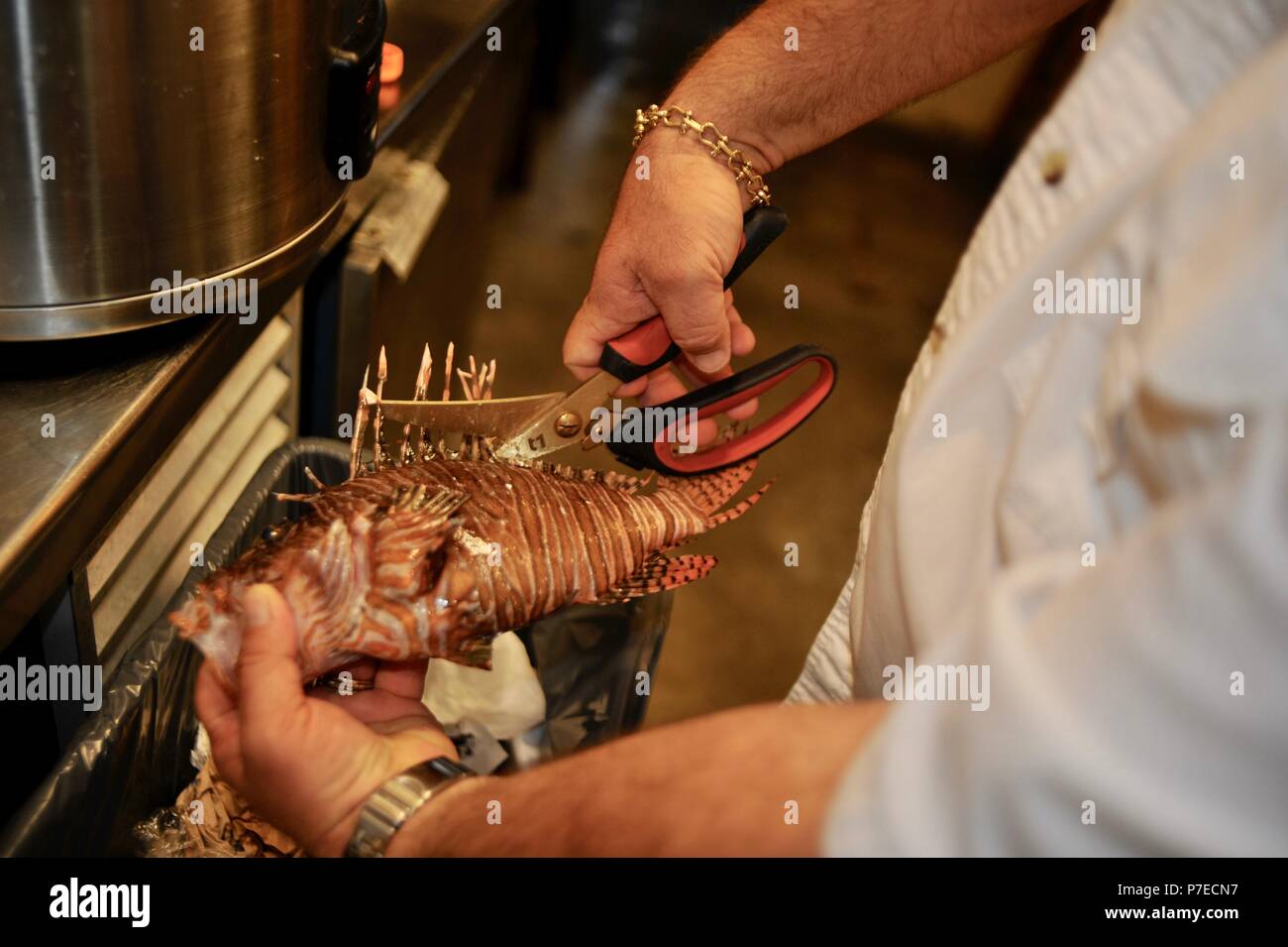 Spear fishing hi-res stock photography and images - Alamy