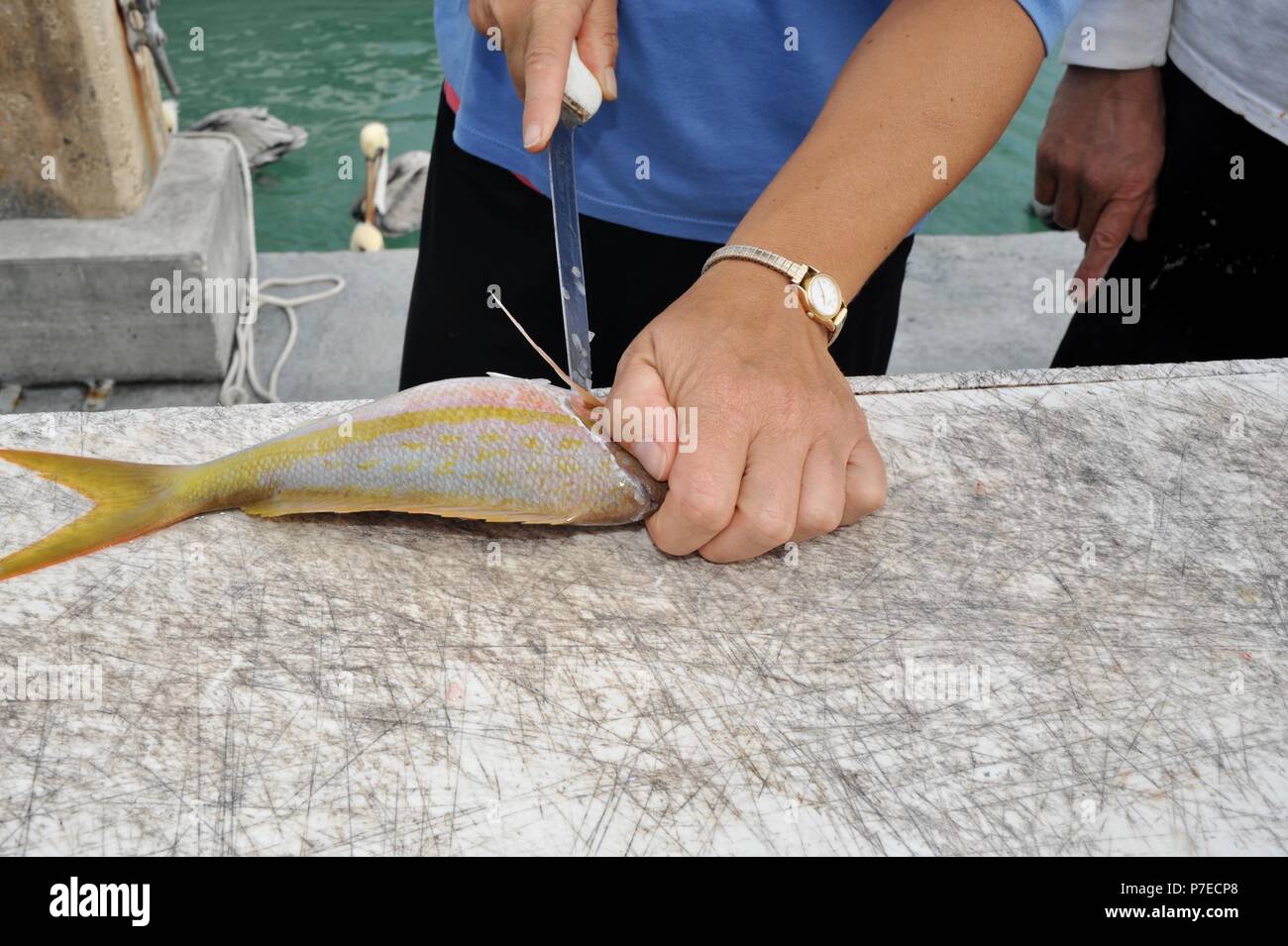 Woman caught fish hi-res stock photography and images - Alamy