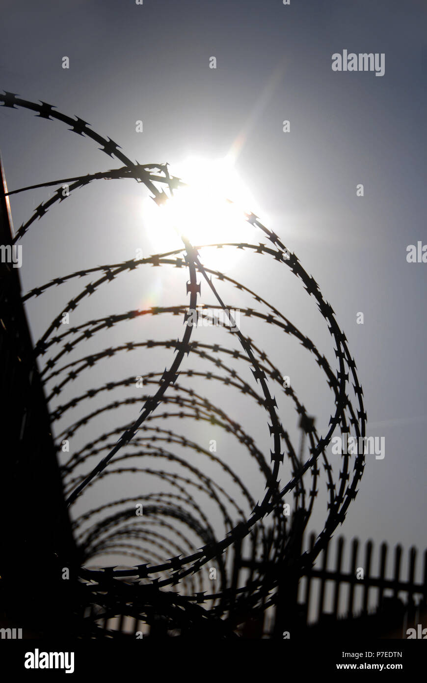 Barbed wire securing the perimeter fences at Doncaster Sheffield ...