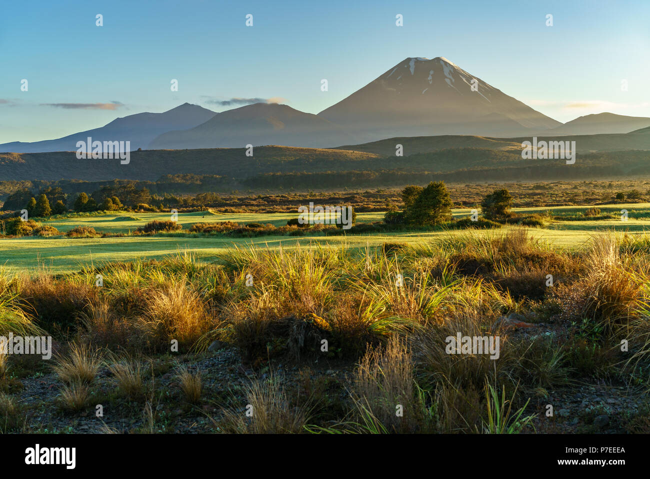 Lord of the rings Cone volcano at sunrise,Mount Ngauruhoe,New Zealand ...