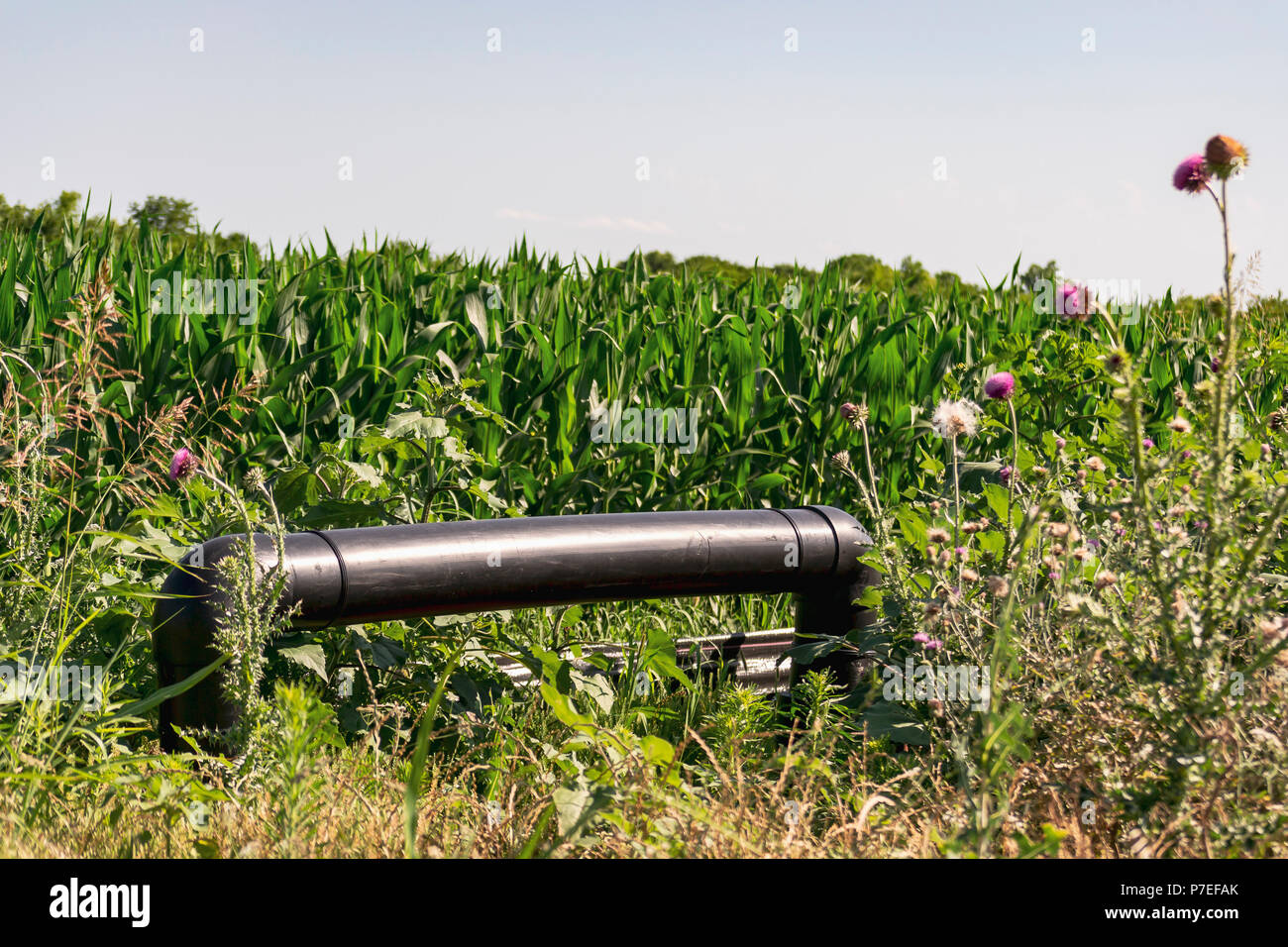 Drought in the field hi-res stock photography and images - Alamy