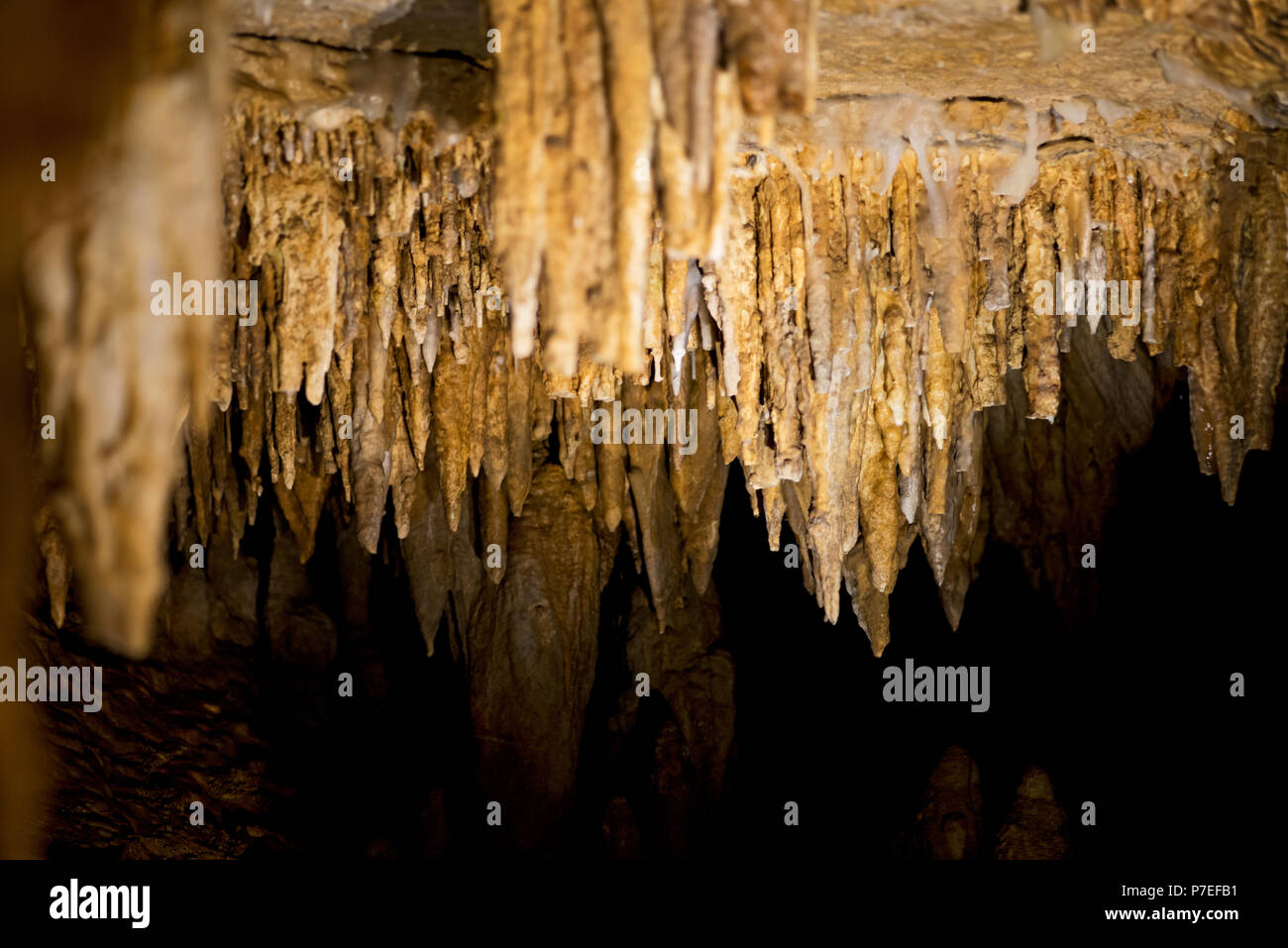 Stalactites and stalagmites inside natural limestone cave. Natural ...