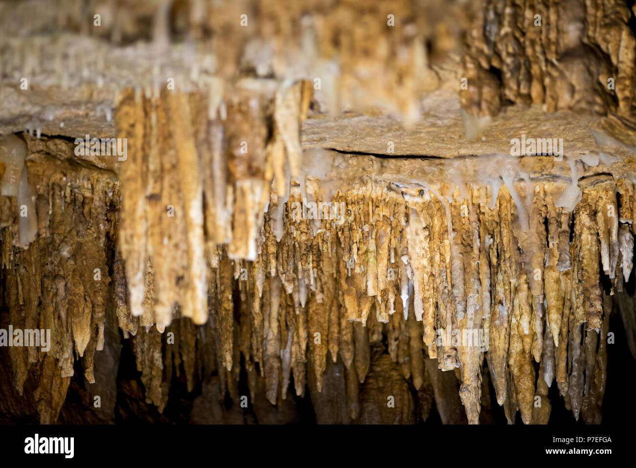 Stalactites and stalagmites inside natural limestone cave. Natural ...