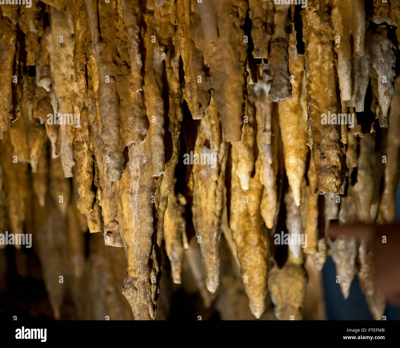 Stalactites and stalagmites inside natural limestone cave. Natural ...