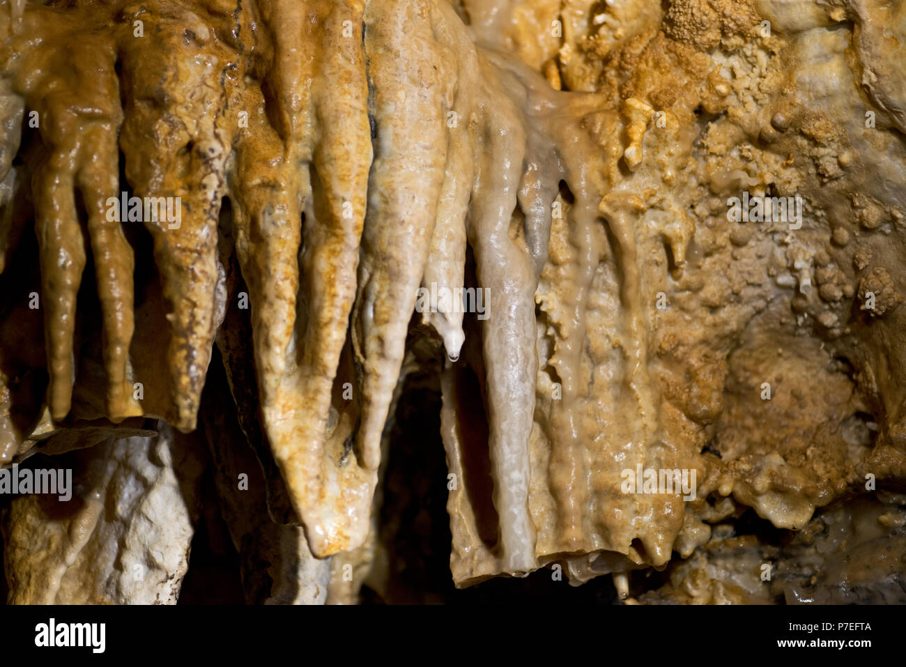 Stalactites and stalagmites inside natural limestone cave. Natural ...