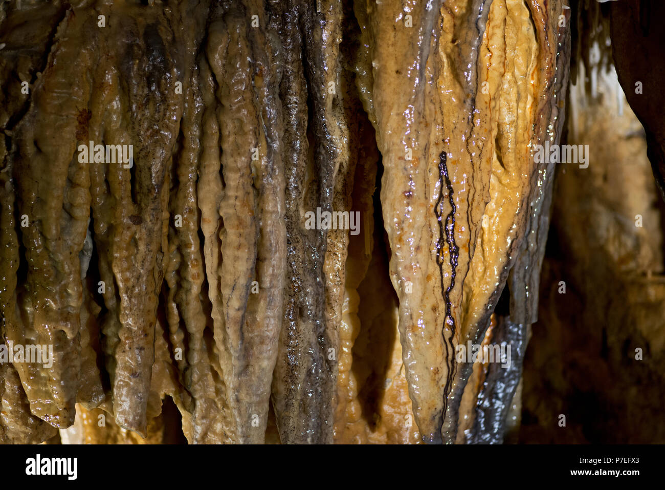 Stalactites inside Cave of the Mounds, a natural limestone cave located ...