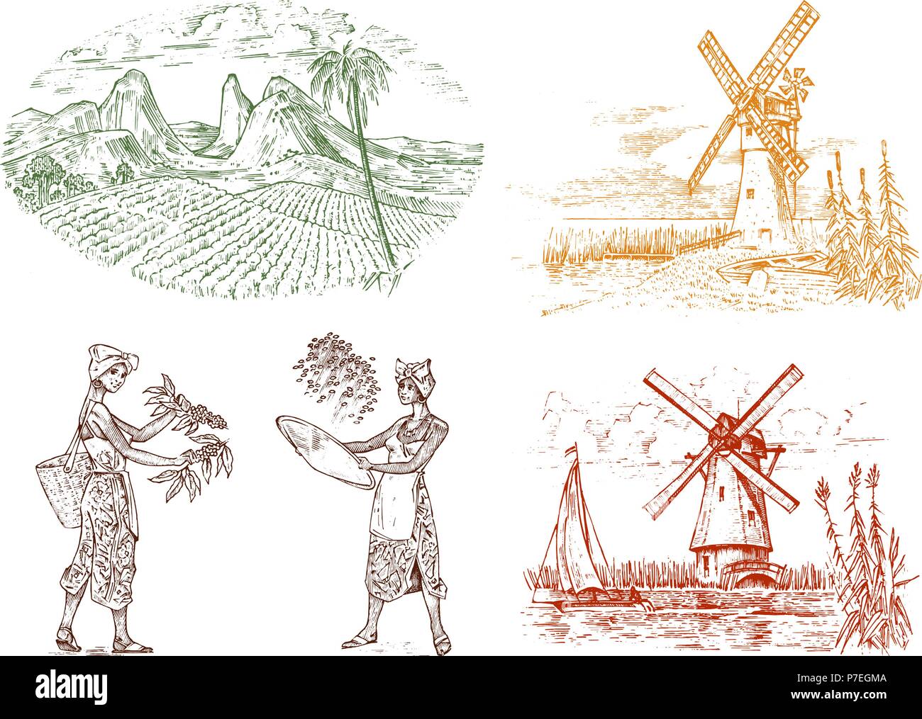 Plantation Stock Vector Images - Alamy