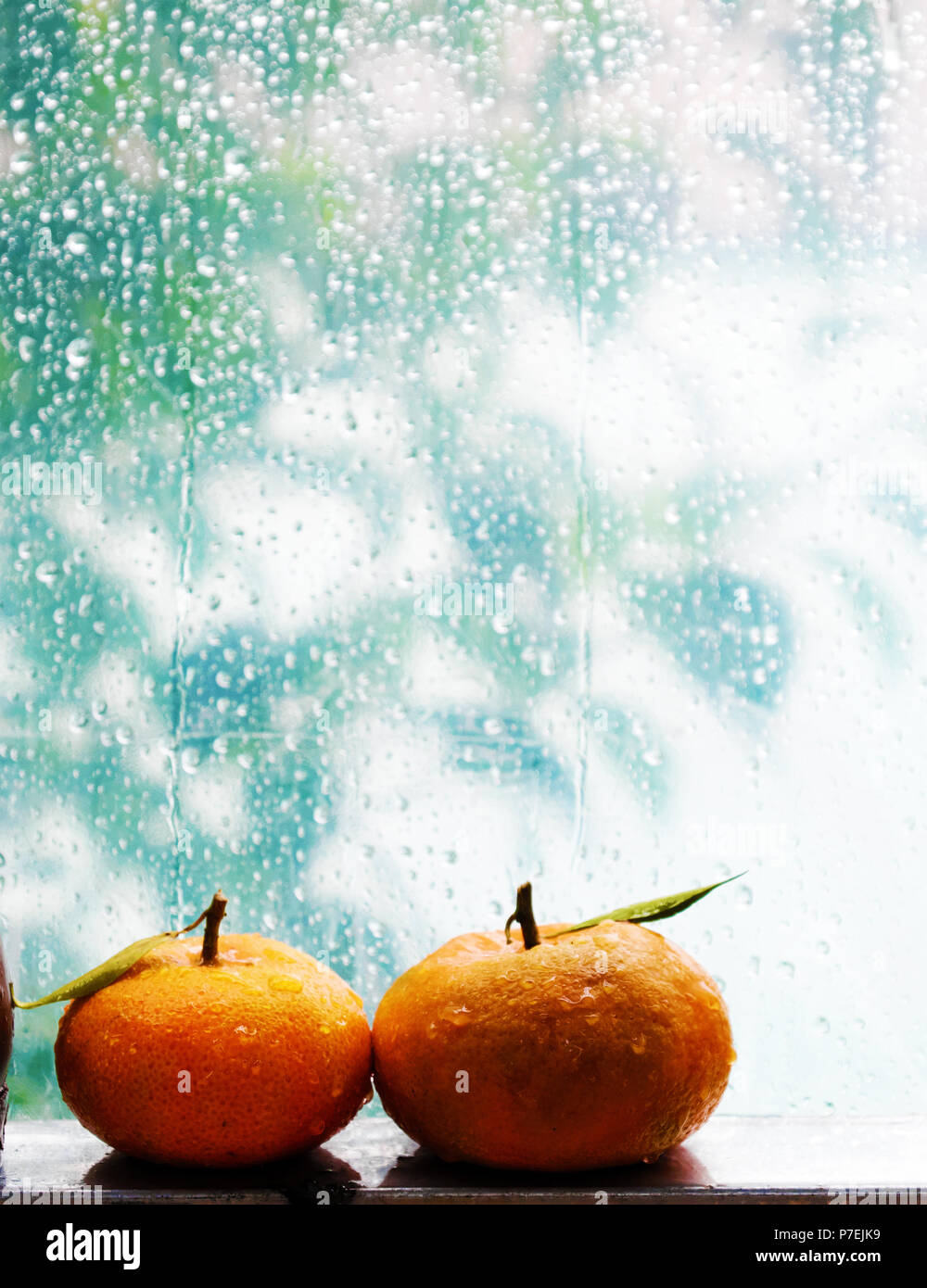 Two orange fruit on rain background, contrast color among orange and ...