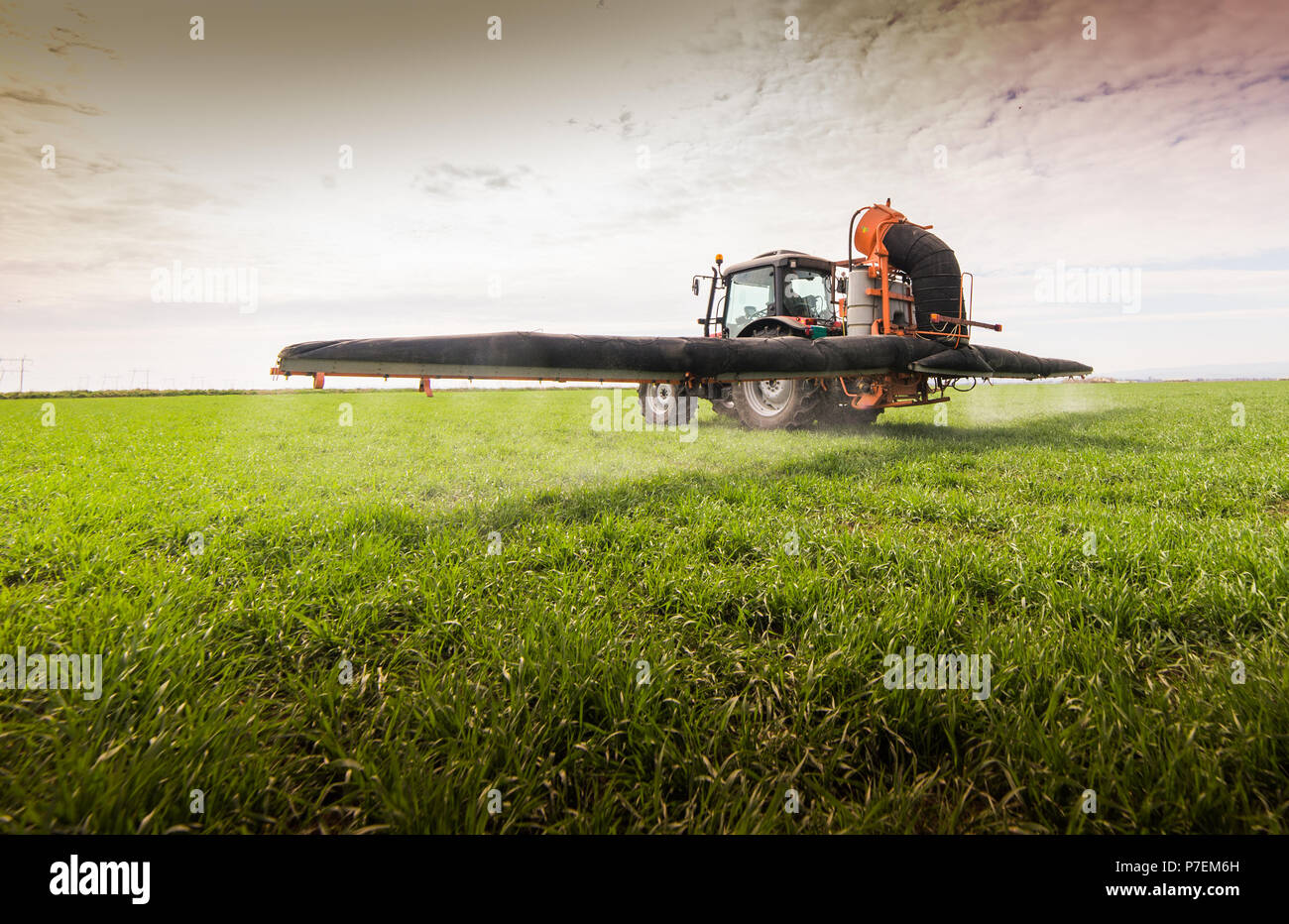 Tractor spraying pesticides on wheat hi-res stock photography and ...