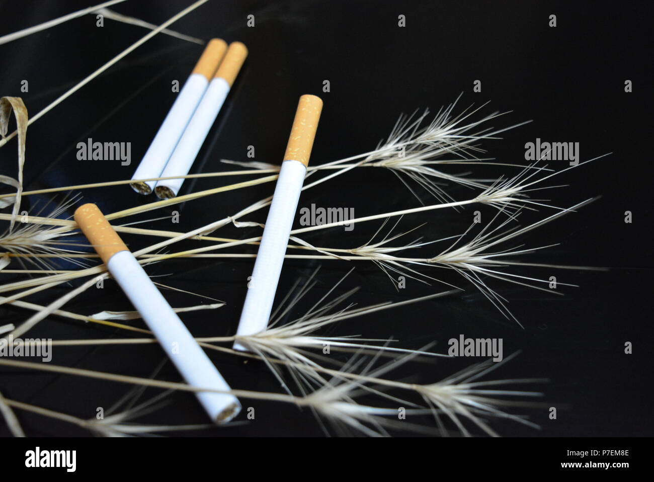 Smoking ears hi-res stock photography and images - Alamy