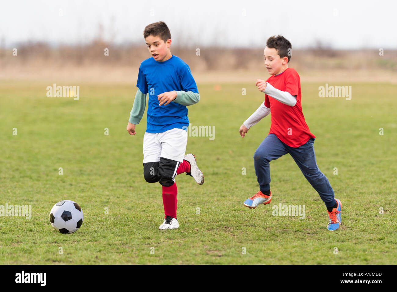 Kids soccer football - young children players match on soccer field Stock Photo - Alamy