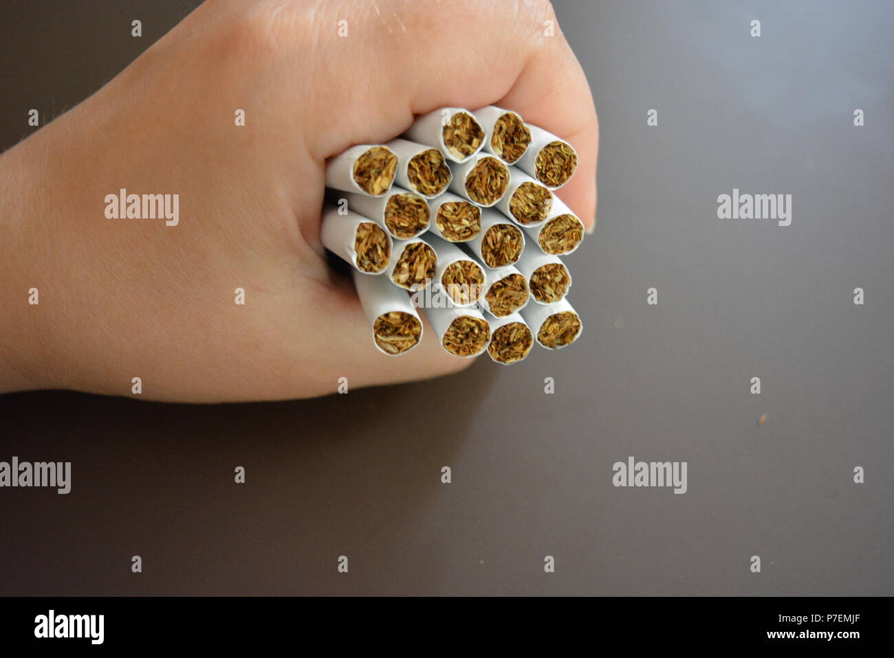 Cigarettes in a female fist on a brown matte background Stock Photo - Alamy
