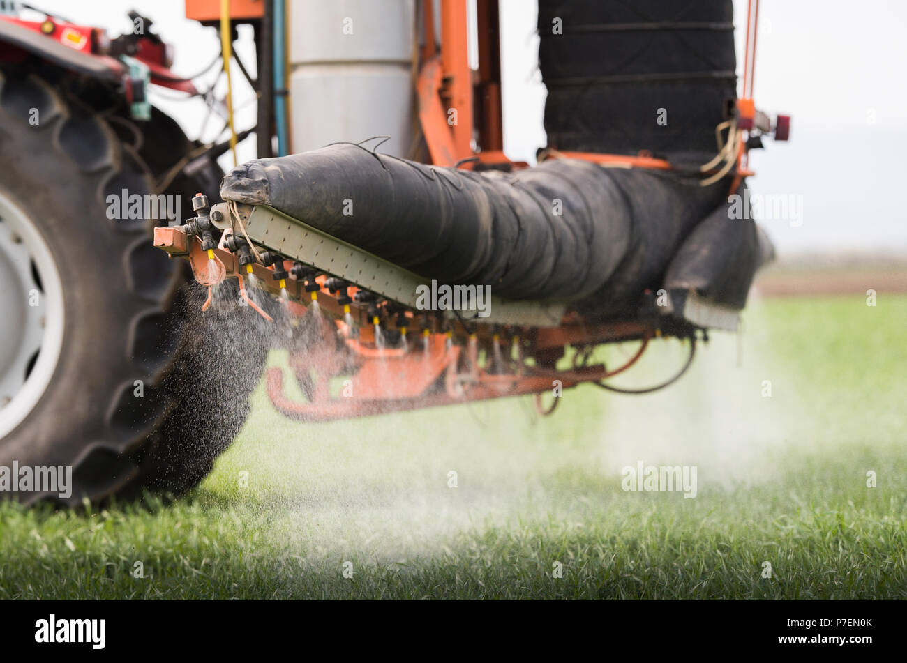 Tractor spraying pesticides on wheat field with sprayer Stock Photo - Alamy