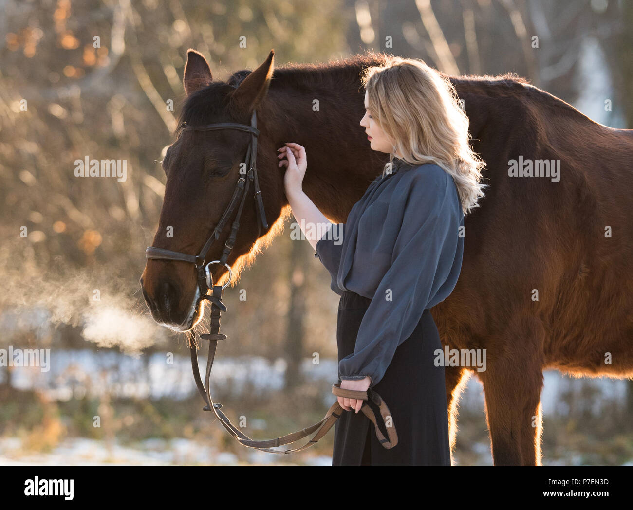 Young beautiful elegance modern woman posing with horse Stock Photo - Alamy