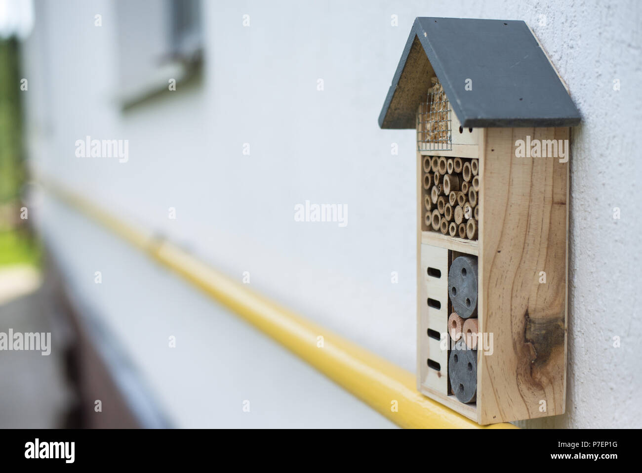 green technology. insect hotel installed on house wall in garden Stock ...
