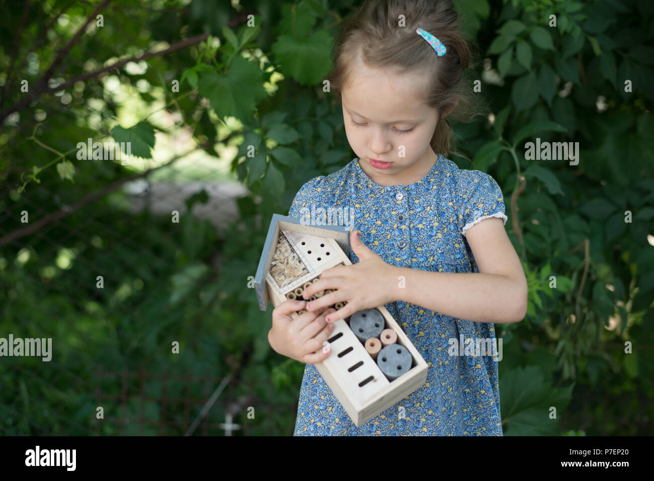 Green schooling. Girl holding insect hotel Stock Photo - Alamy