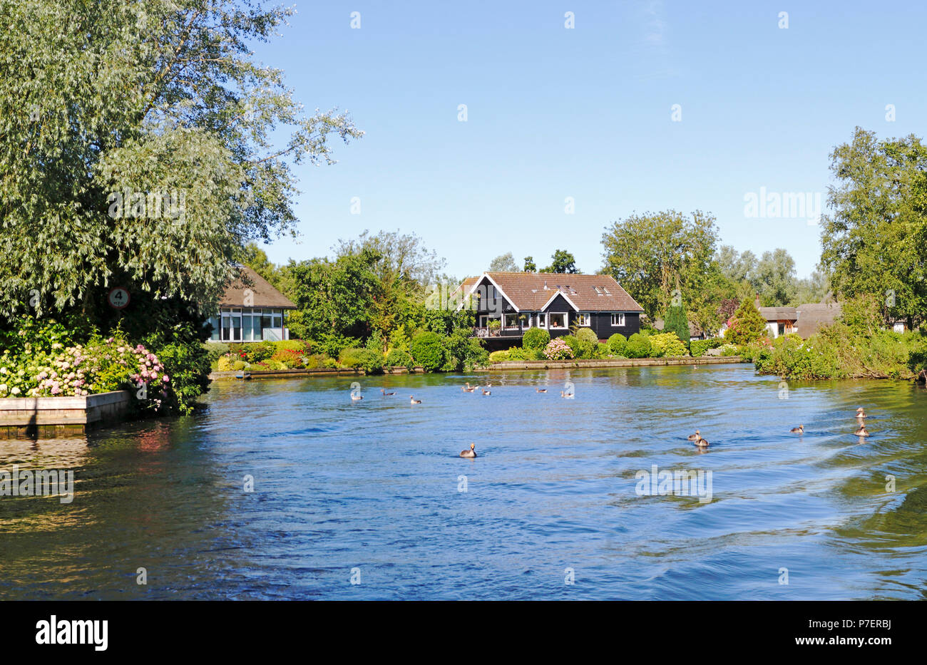 A view of the River Bure on the Norfolk Broads at Wroxham, Norfolk ...