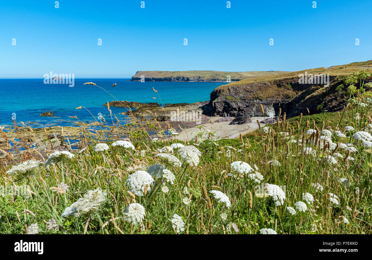 A view from the coastal path at Polzeath in North Cornwall, United ...