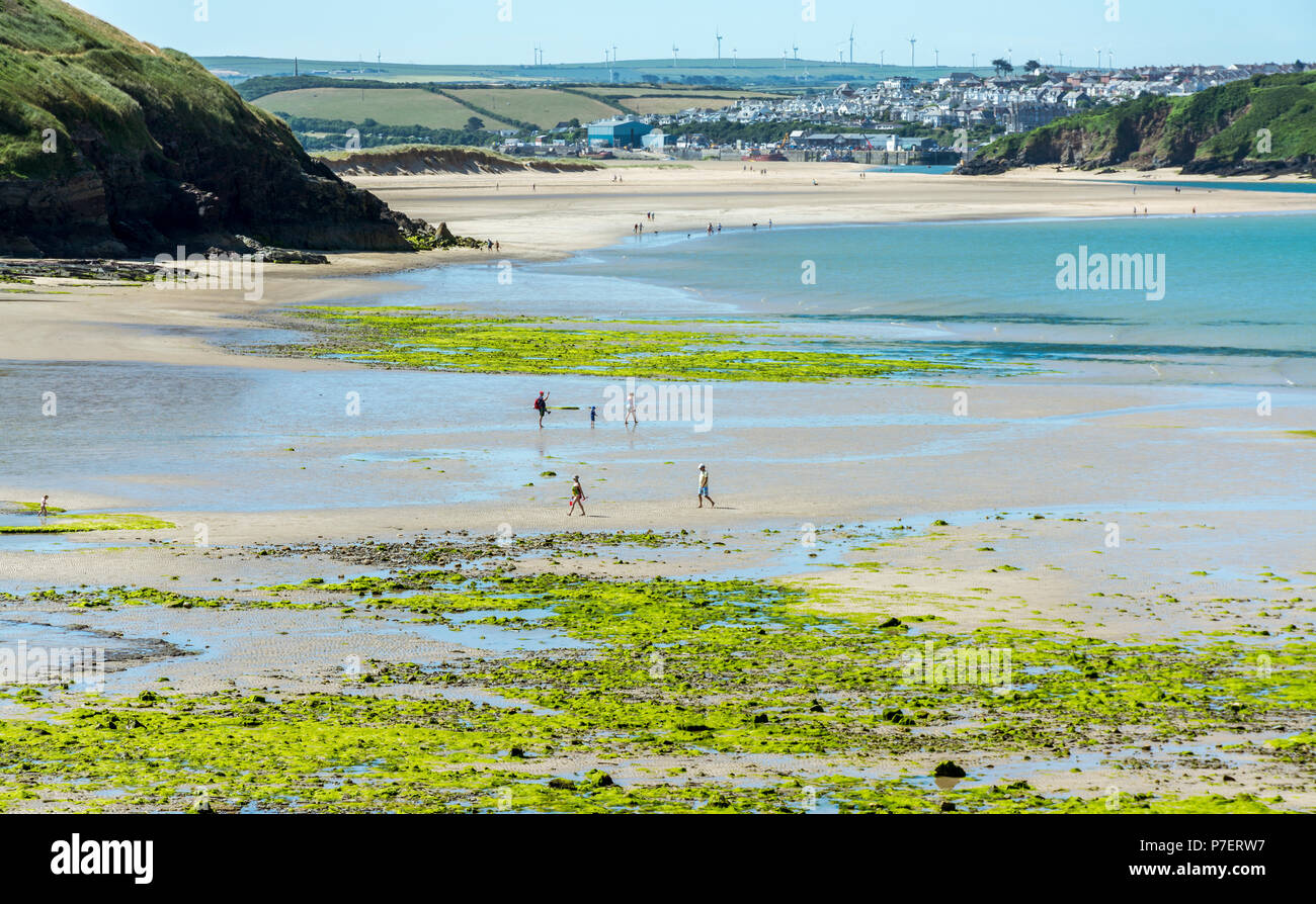 Views towards Rock and Padstow from the coastal path along the Camel ...