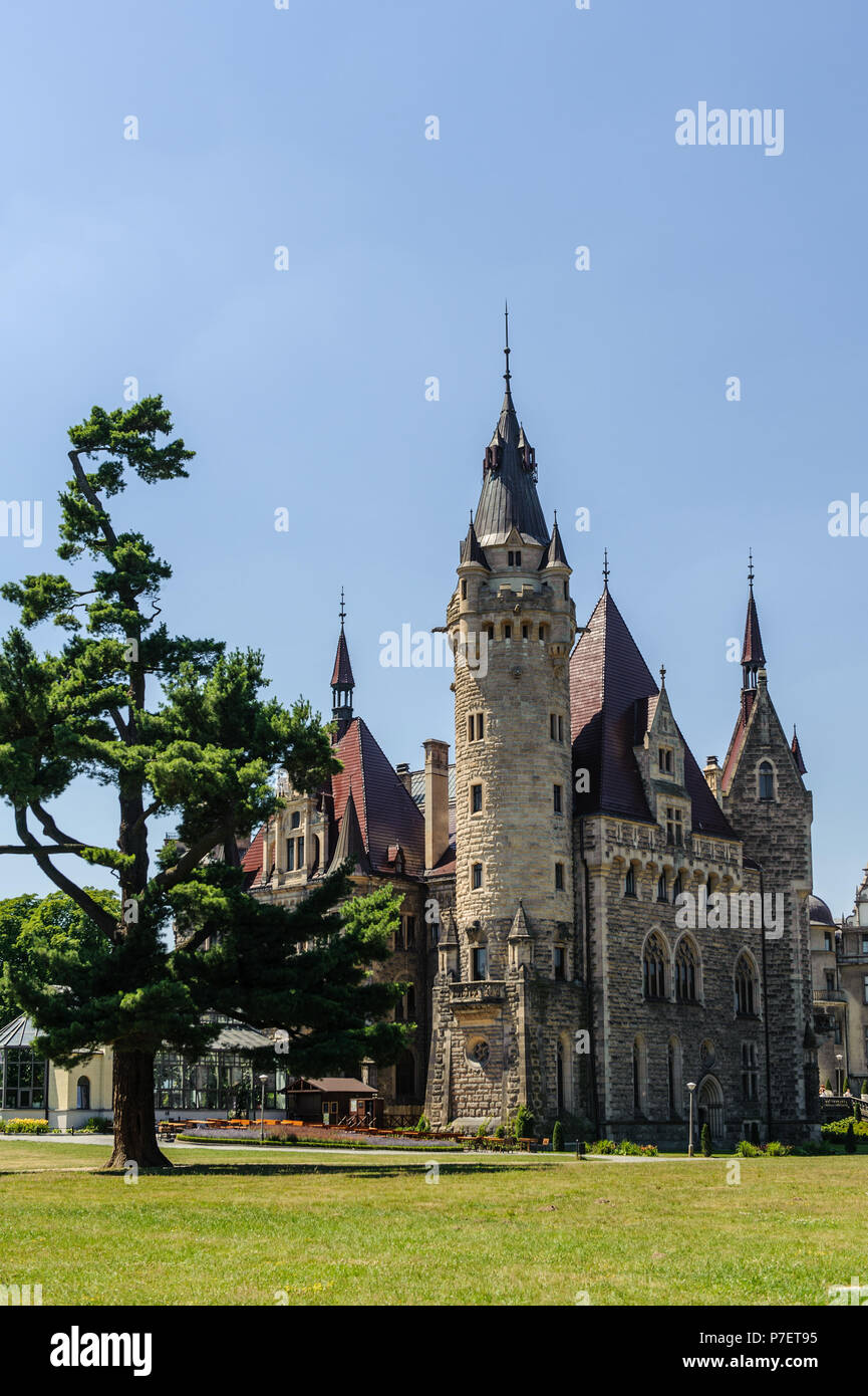 vertical frame with a view of the castle Stock Photo - Alamy
