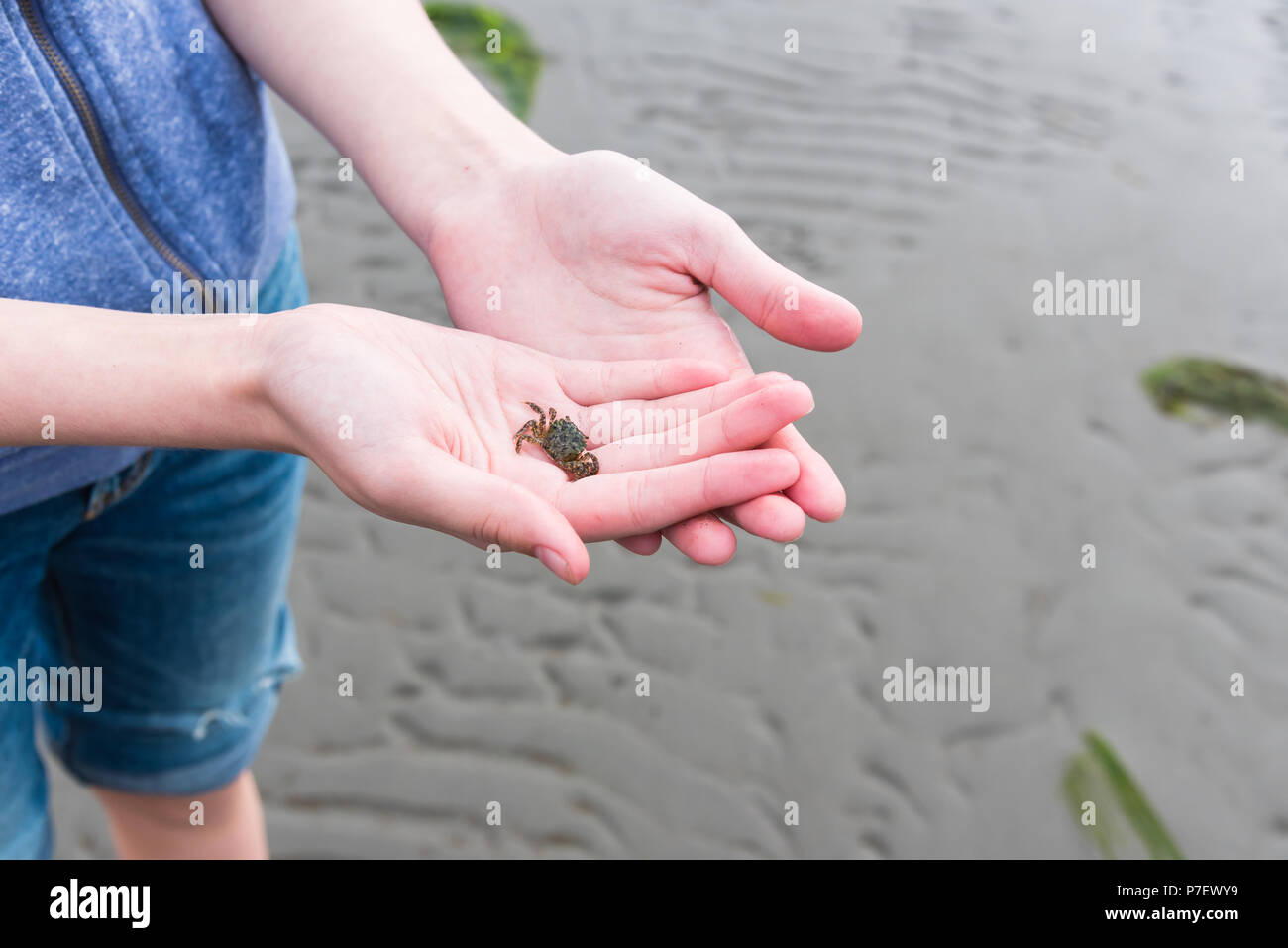 Girl holding crab hi-res stock photography and images - Alamy