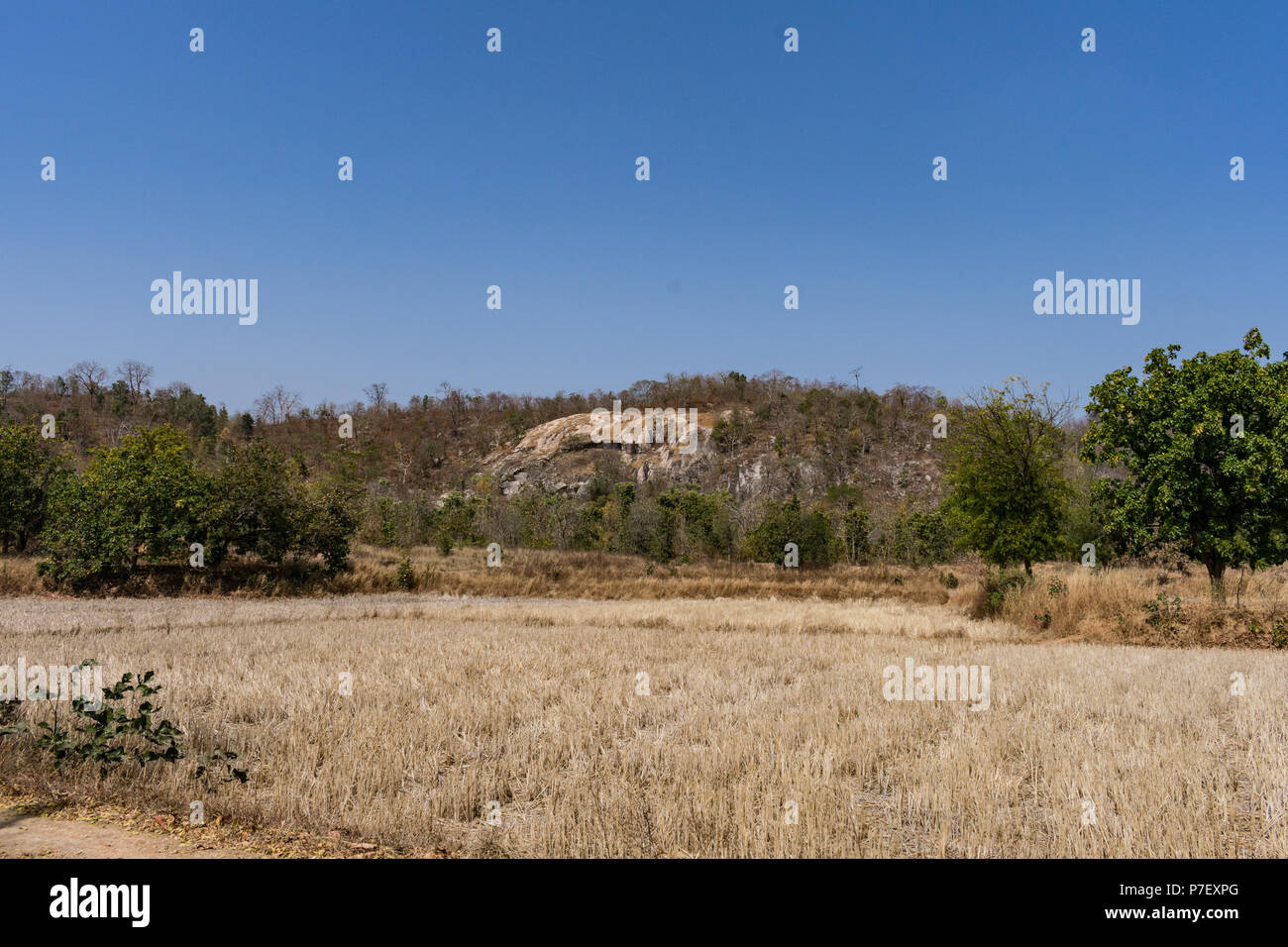 Step paddy field hi-res stock photography and images - Alamy