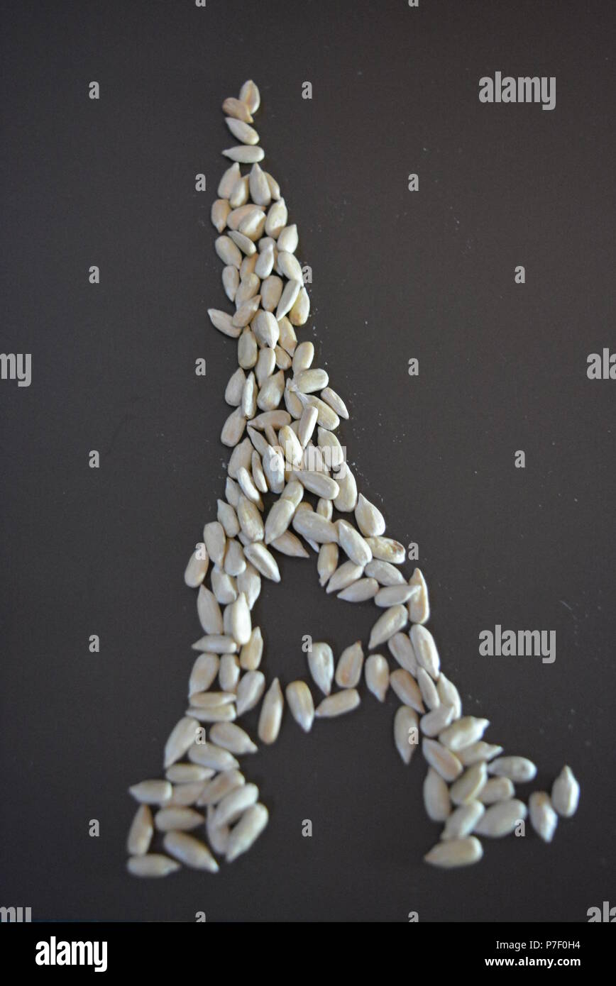 Fried sunflower seeds without black shell on matte brown background ...