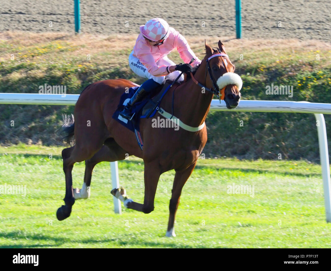 Racing at lingfield hi-res stock photography and images - Alamy