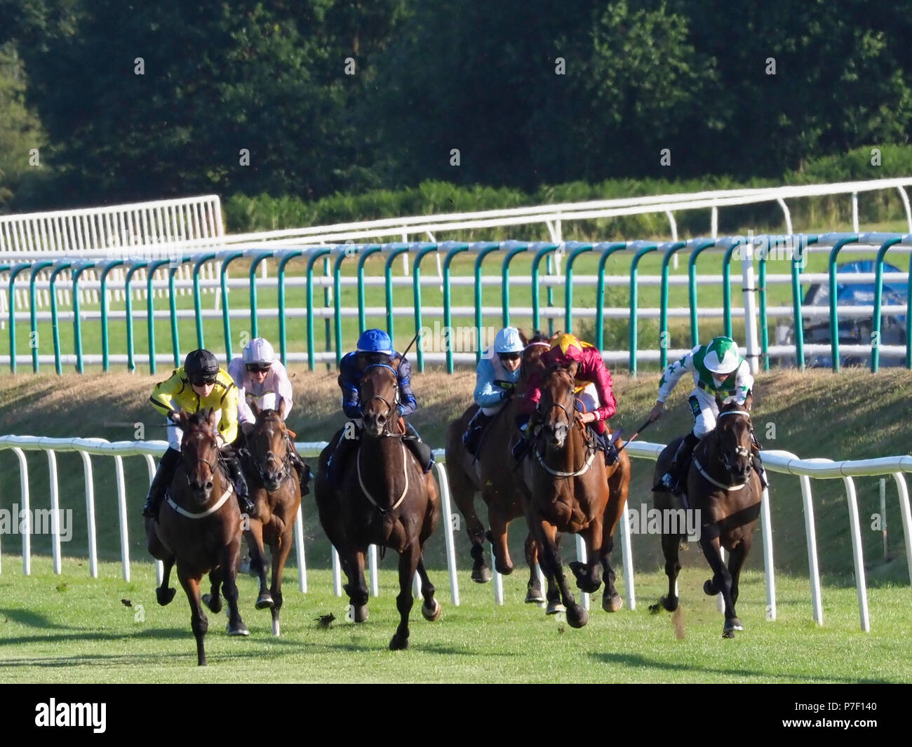 Racing at lingfield hi-res stock photography and images - Alamy