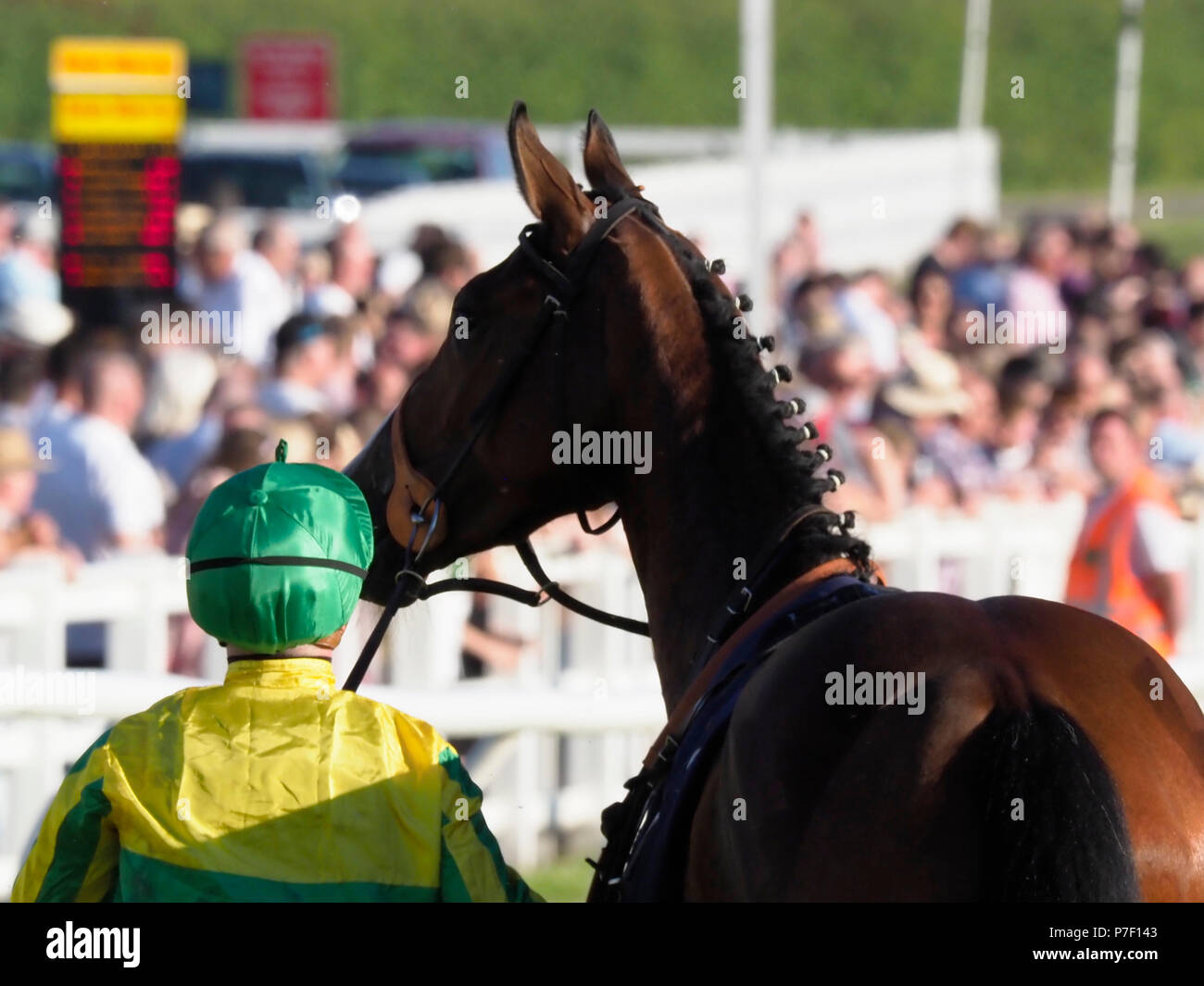 Horse racing lingfield races hi-res stock photography and images - Alamy