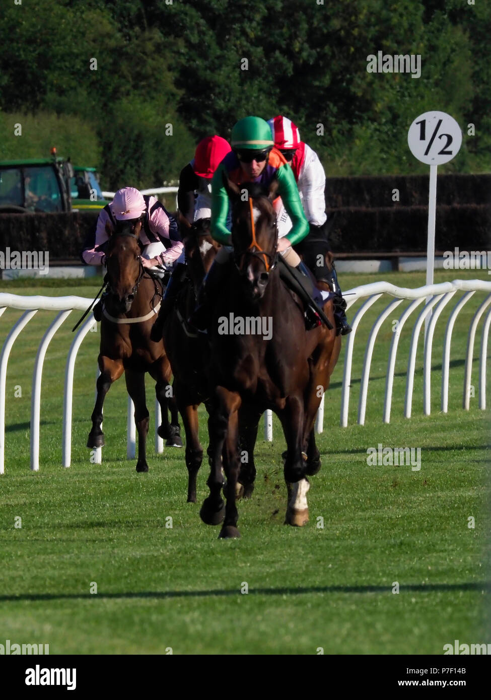 Racing at lingfield races hi-res stock photography and images - Alamy