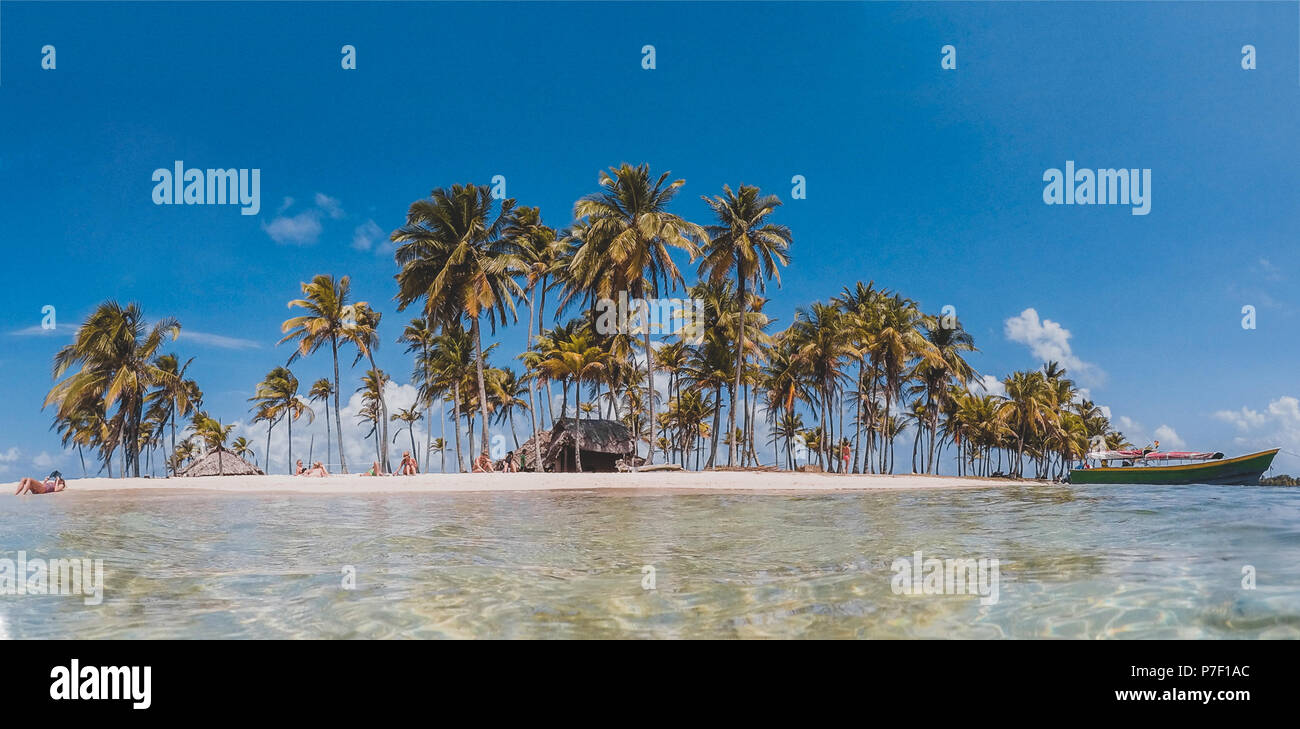 Tropical island with palm trees hi-res stock photography and images - Alamy