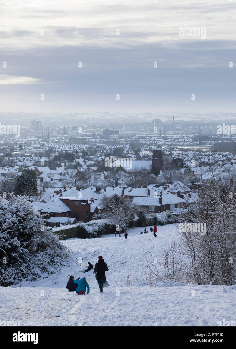 People playing in the snow, at Belfast Castle with a view of Belfast in ...