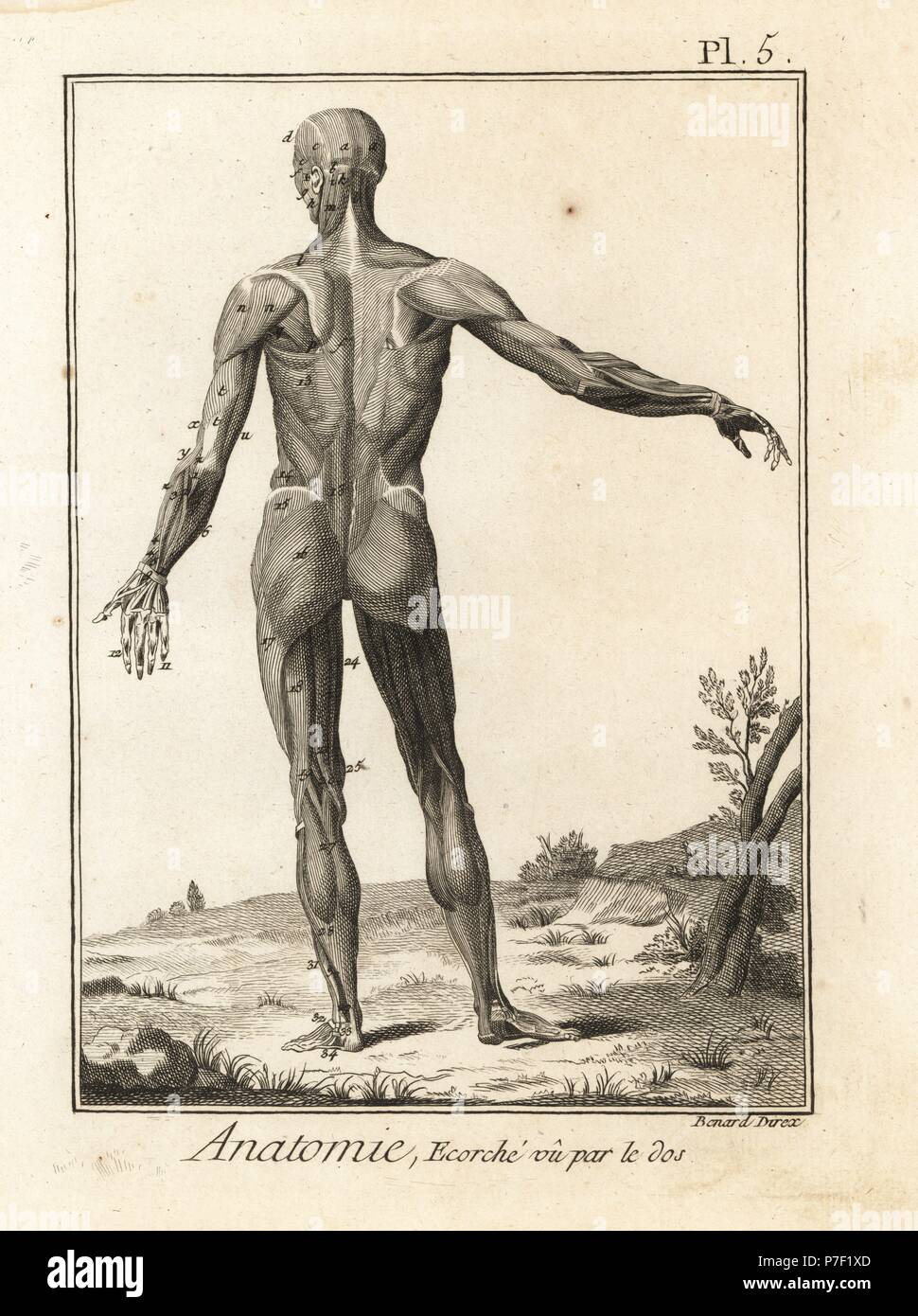 Denis Diderot Encyclopedia Stock Photos & Denis Diderot Encyclopedia ...