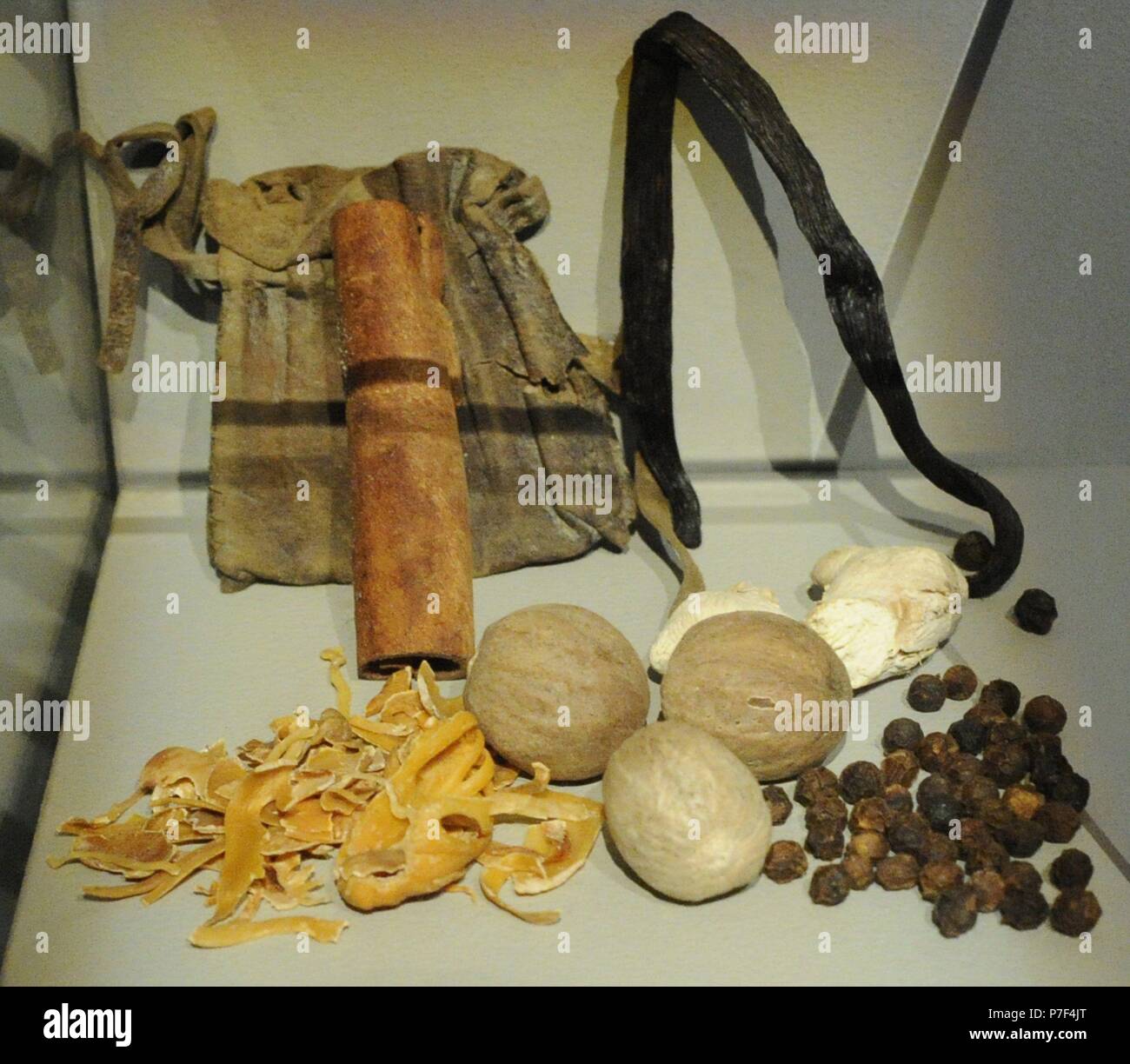 Herbs and spices used in food in the Middle Ages. Scandinavia. Medieval ...