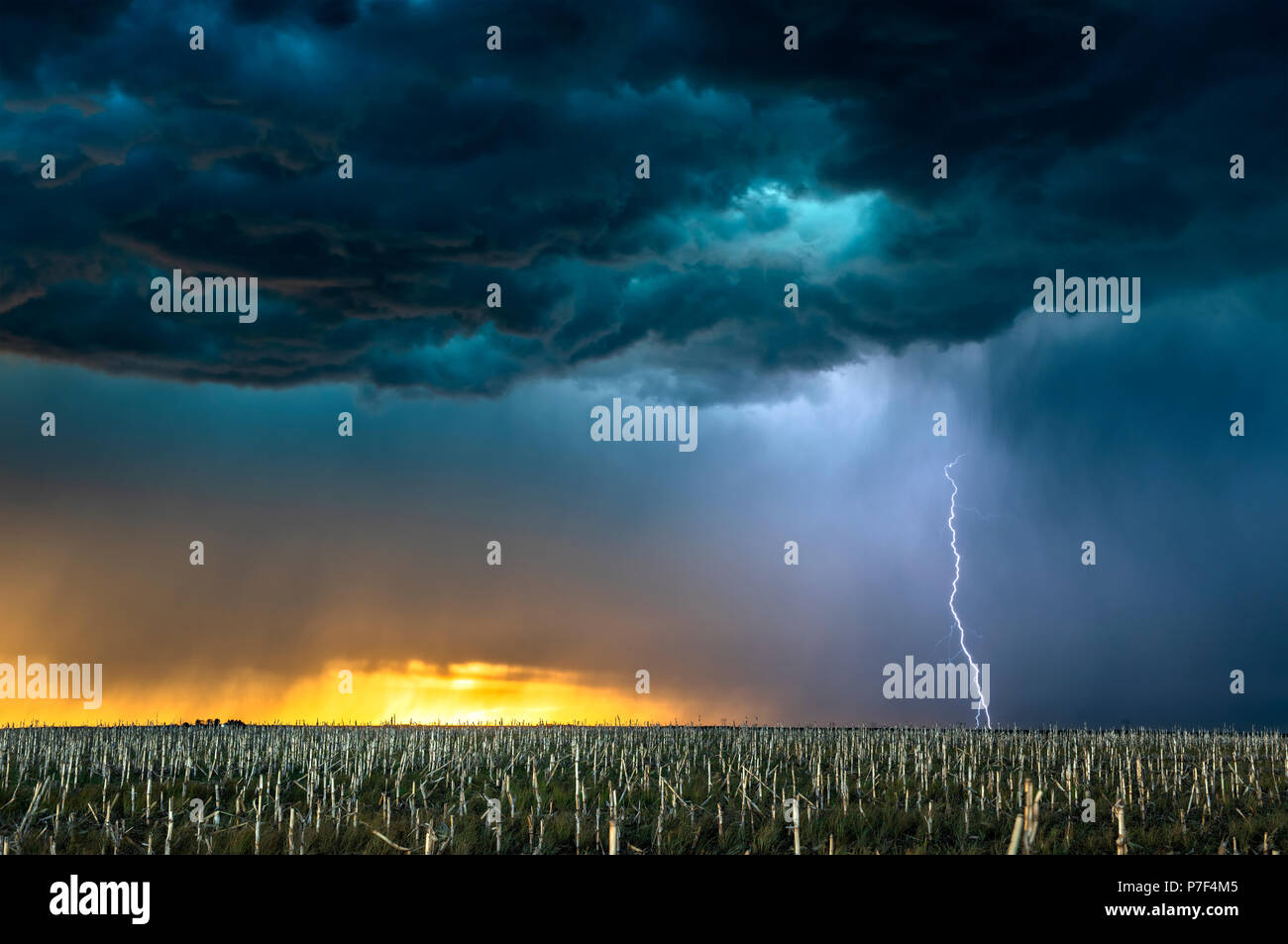 A mezocyclone lightning storm with dark clouds forming over the plains ...