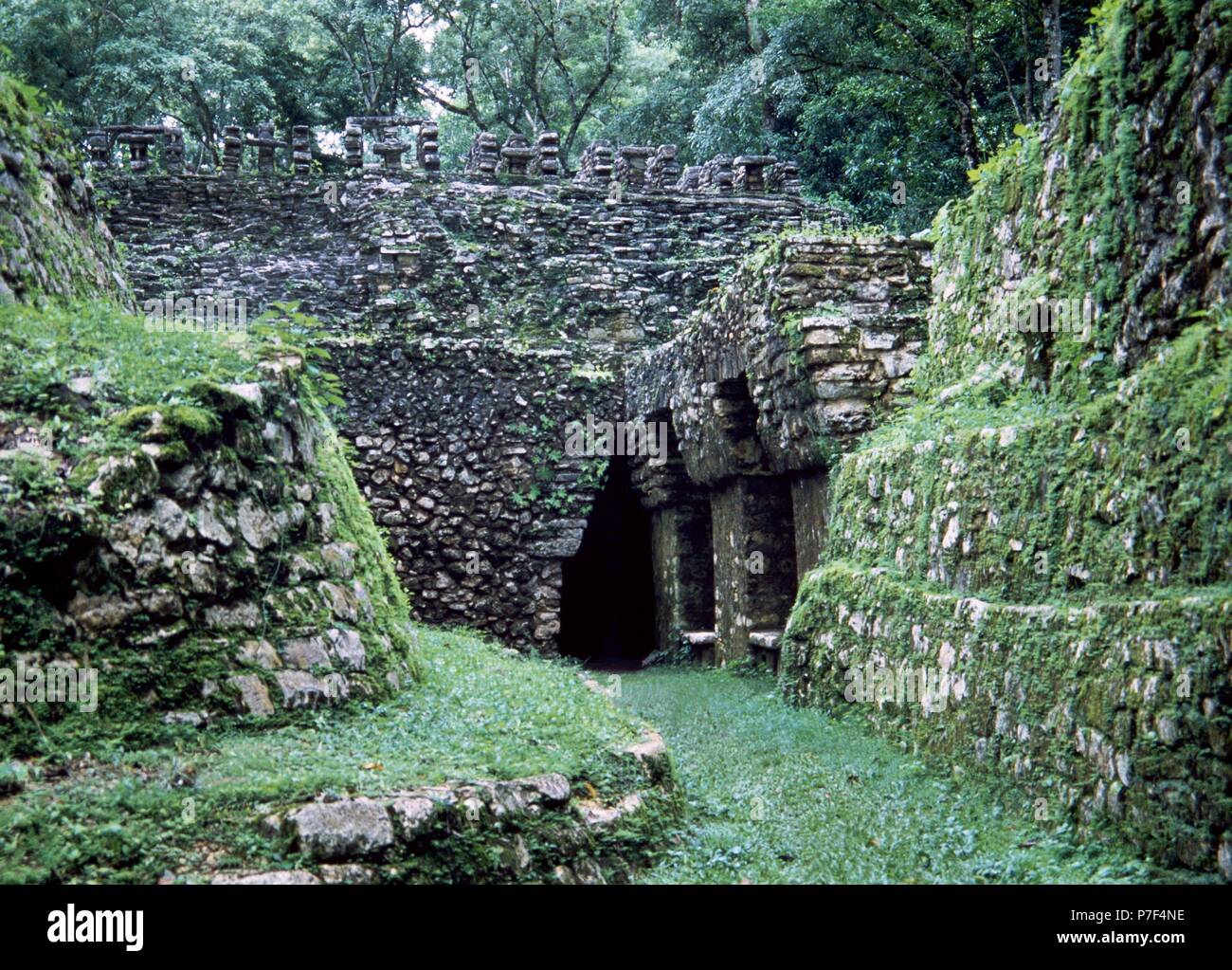 Mexico. Yaxchilan. Temple of Labyrinth. Late Classical period Stock ...