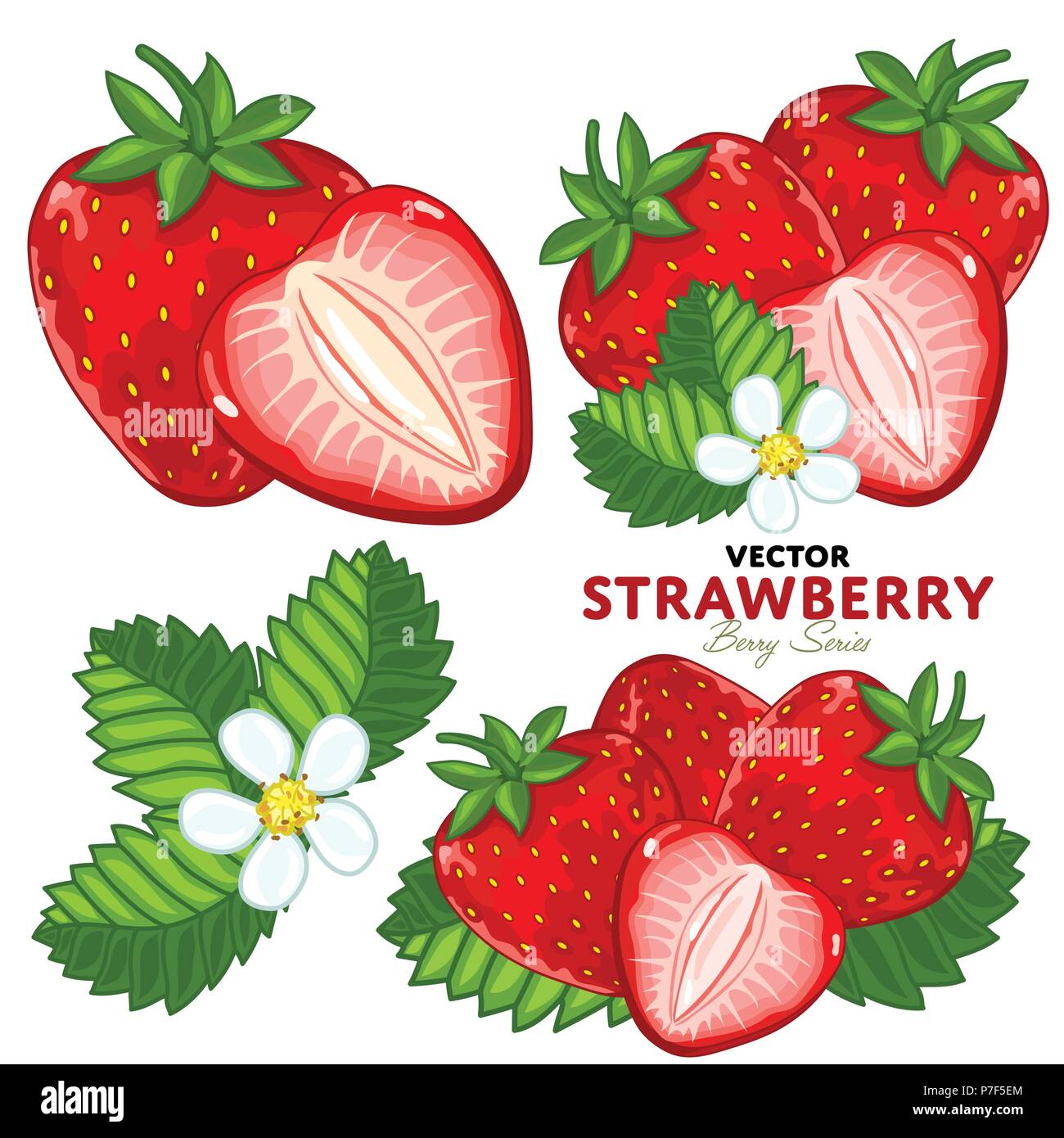 Strawberry Set, Vector Stock Vector Image & Art - Alamy