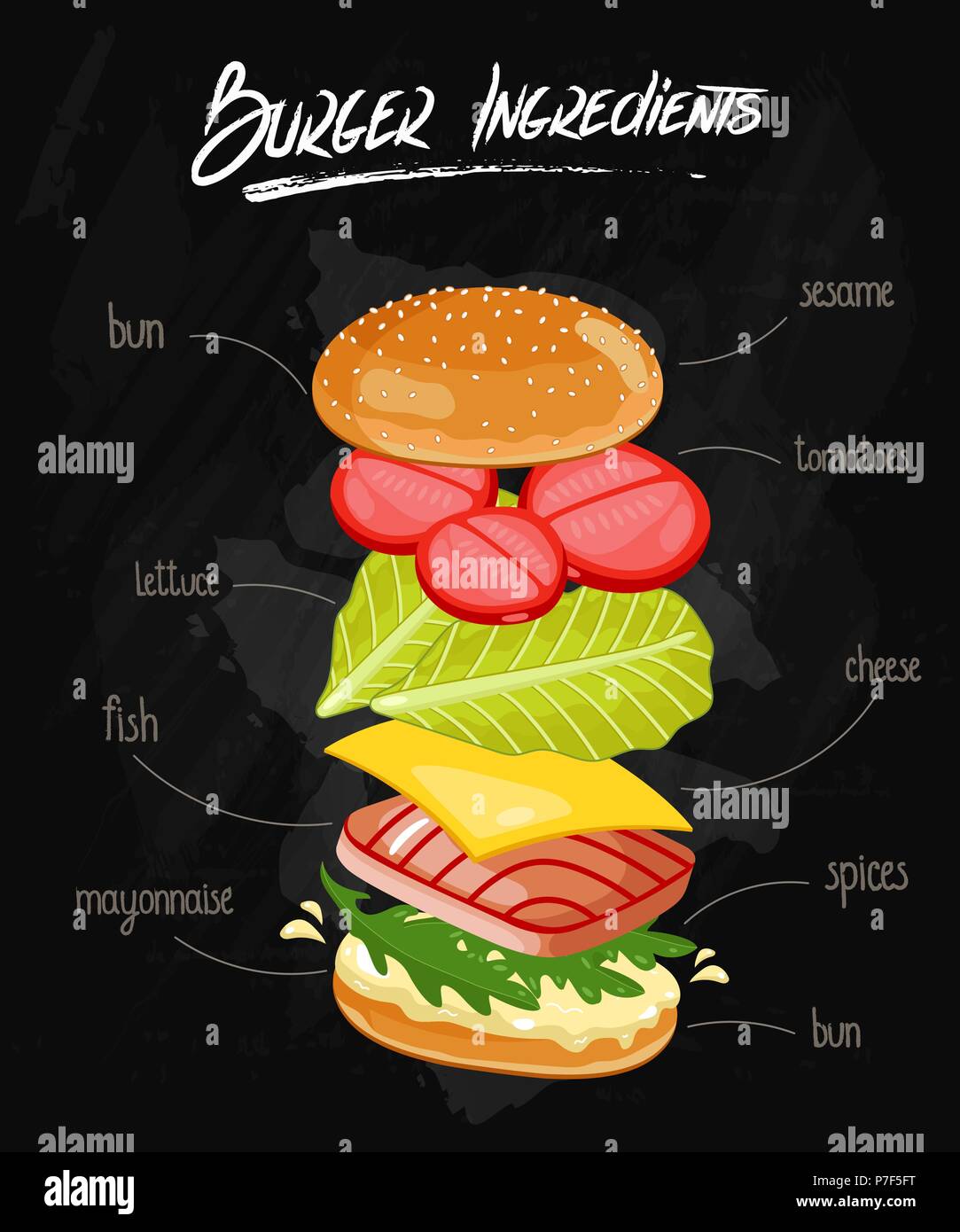 Hamburger ingredients isolated Stock Vector Images - Alamy