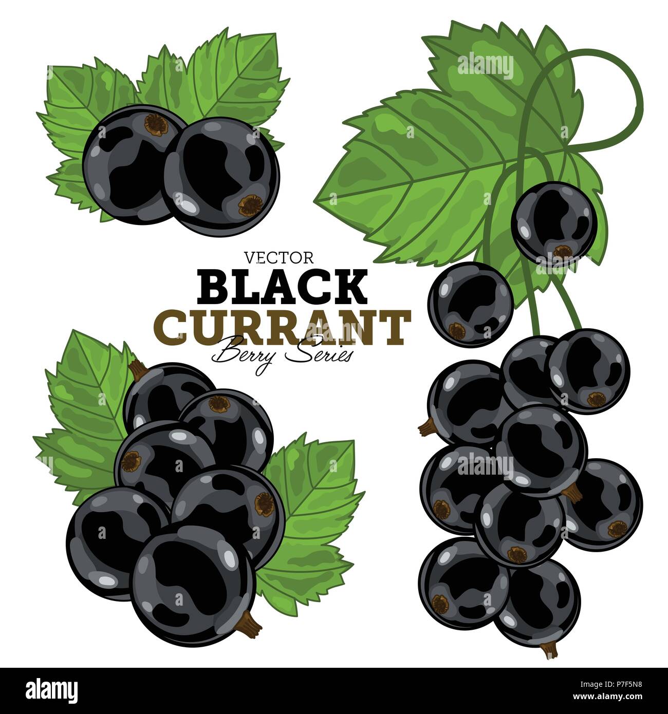 Black white organic food Stock Vector Images - Alamy