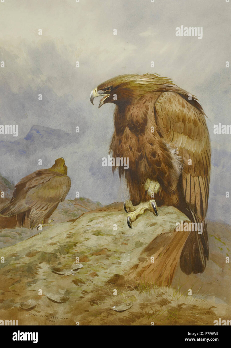 Archibald thorburn artwork hi-res stock photography and images - Alamy