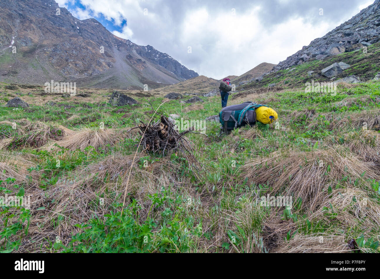Chitkul Village Trek, Himachal Pradesh Stock Photo - Alamy